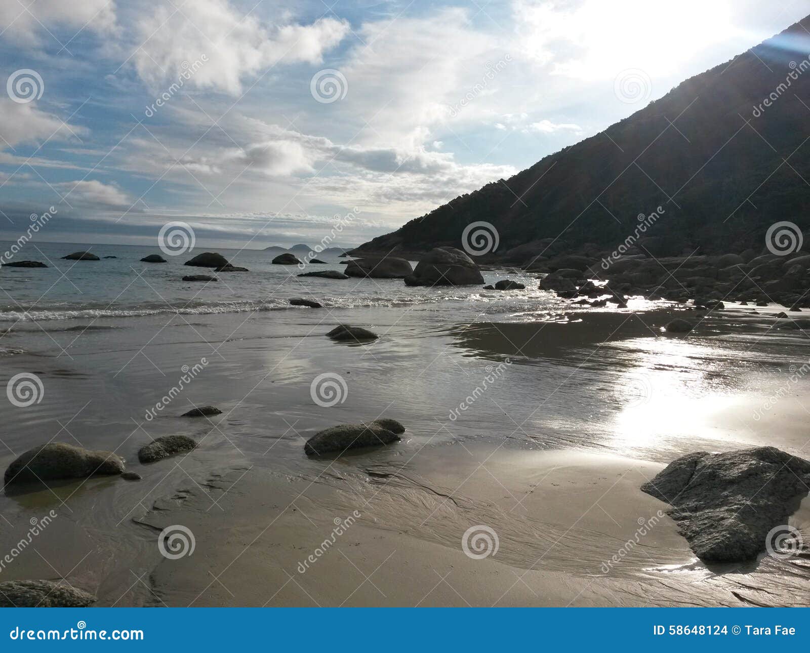 Tidal River stock photo. Image of beautiful, river, wilsons - 58648124