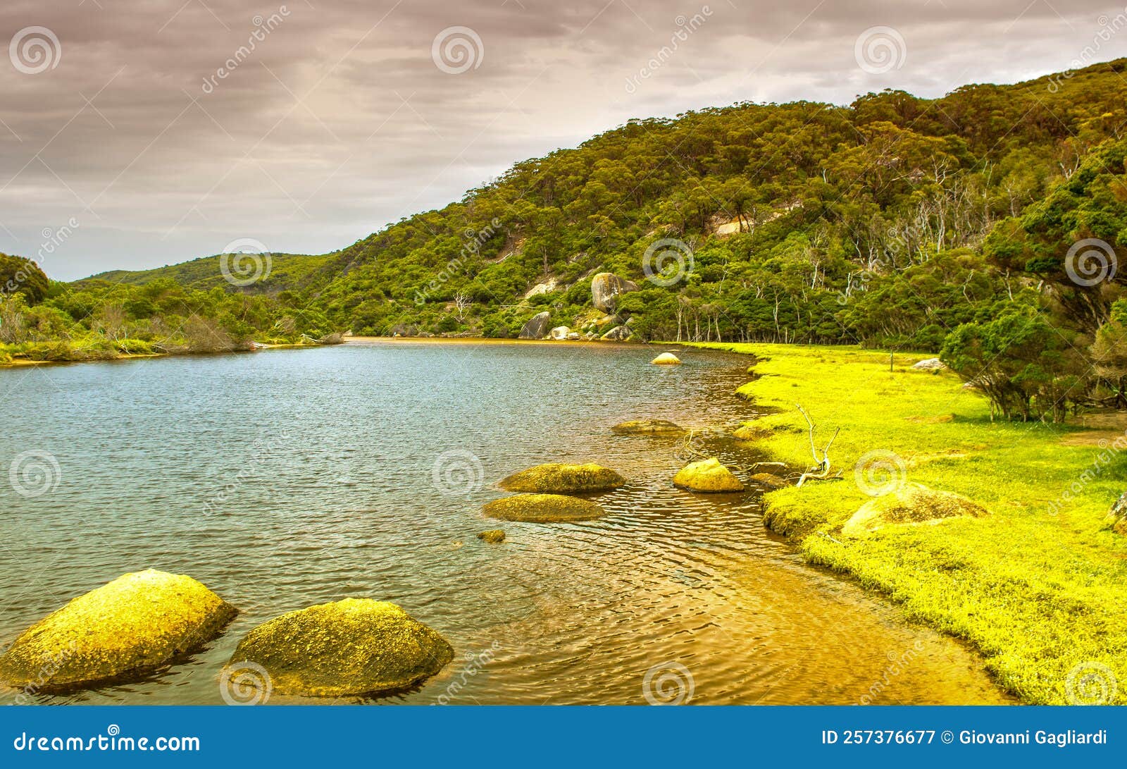 Tidal River, Wilsons Promontory National Park Stock Image - Image of ...