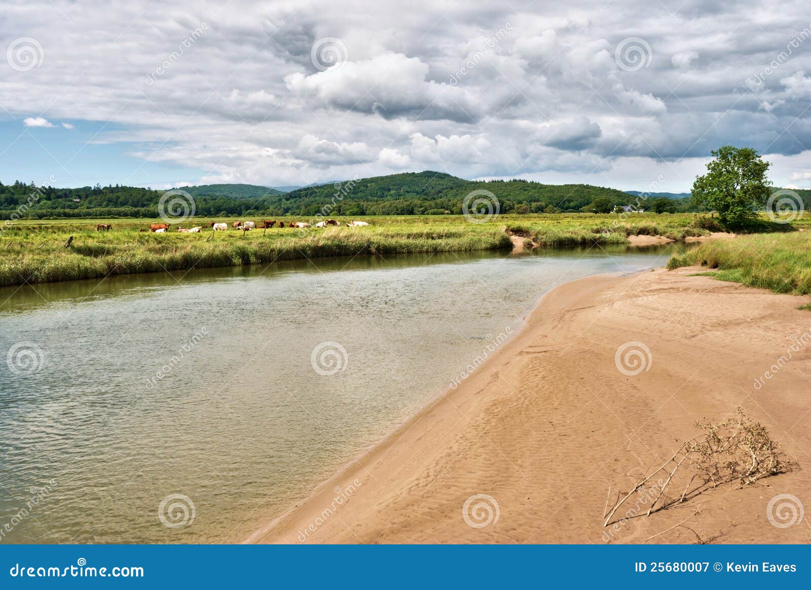 Tidal Riverbank on the River Leven Stock Image - Image of tranquil ...