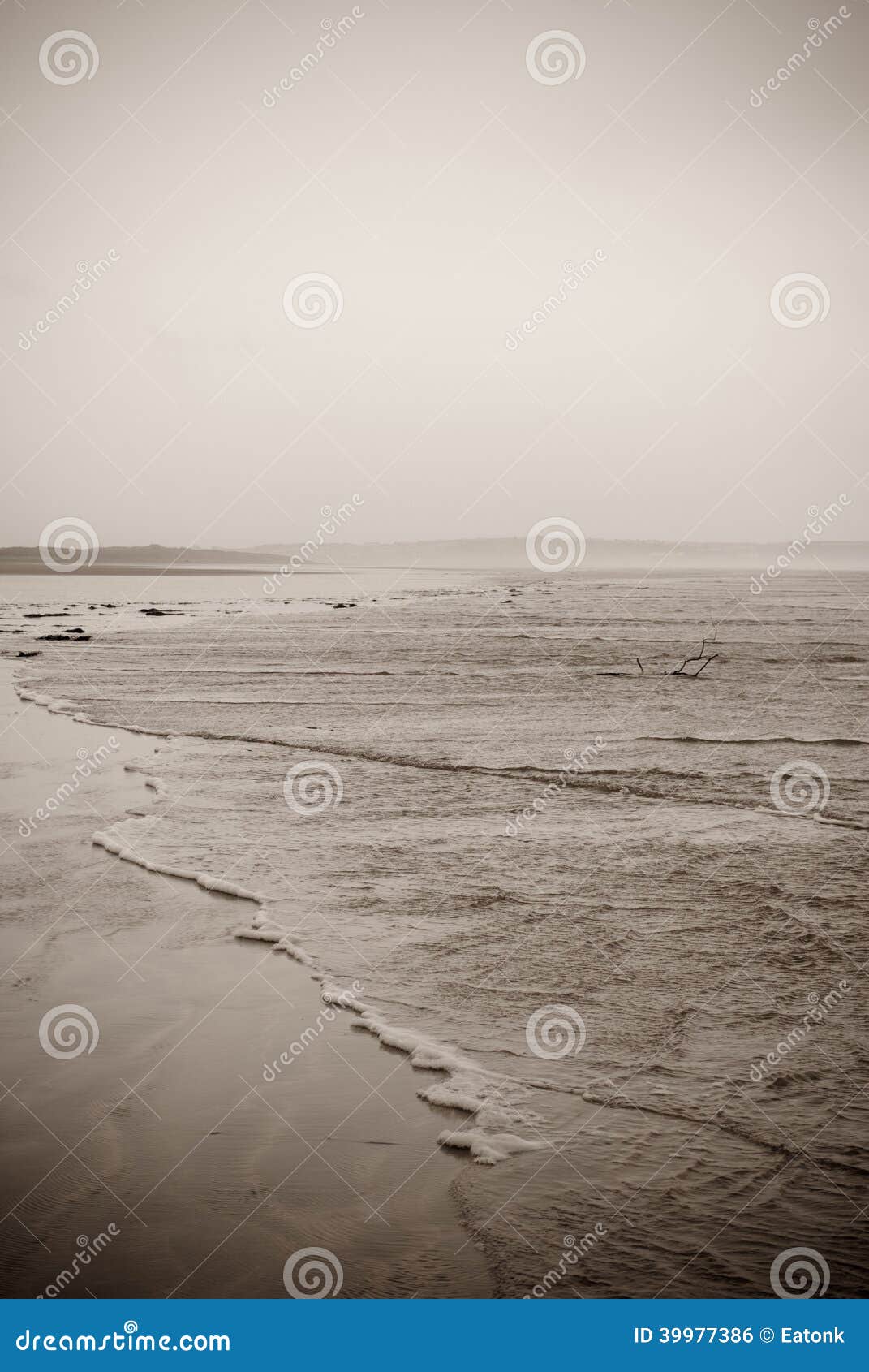 The tide along the beach stock photo. Image of water - 39977386