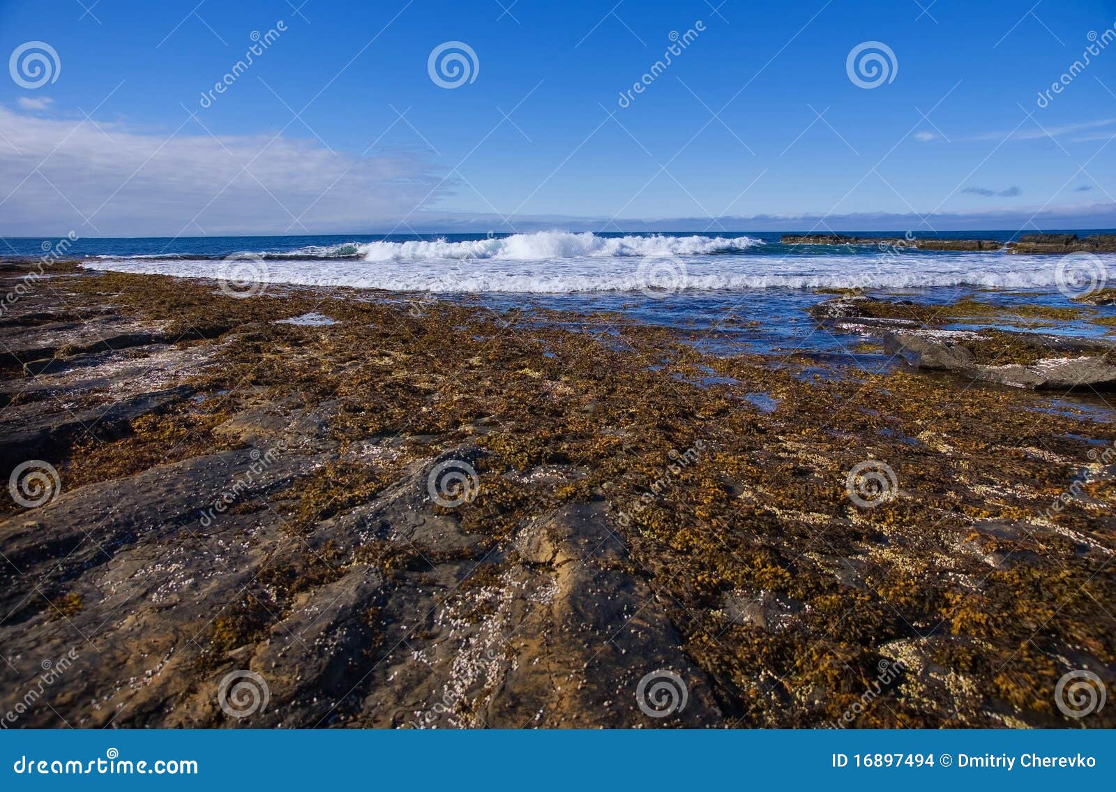 Tide on the Arctic Ocean stock photo. Image of foam, tundra - 16897494
