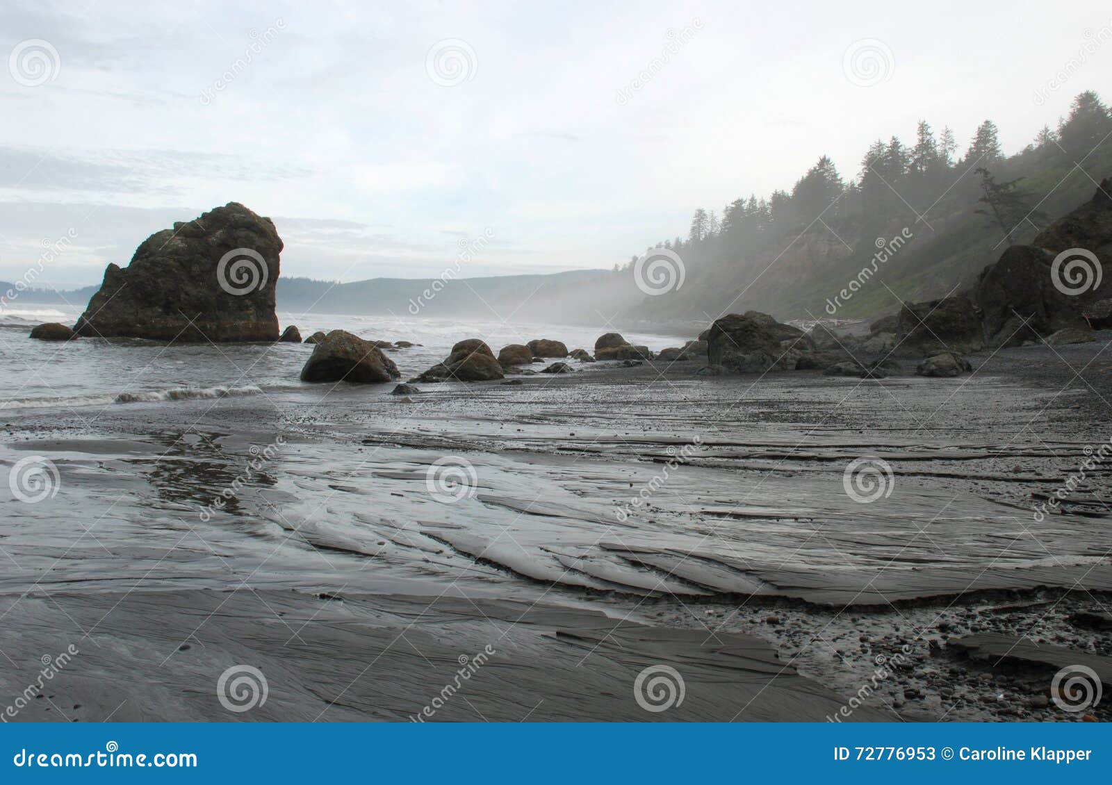 Tide Coming in at Ruby Beach Stock Image - Image of forest, sand: 72776953