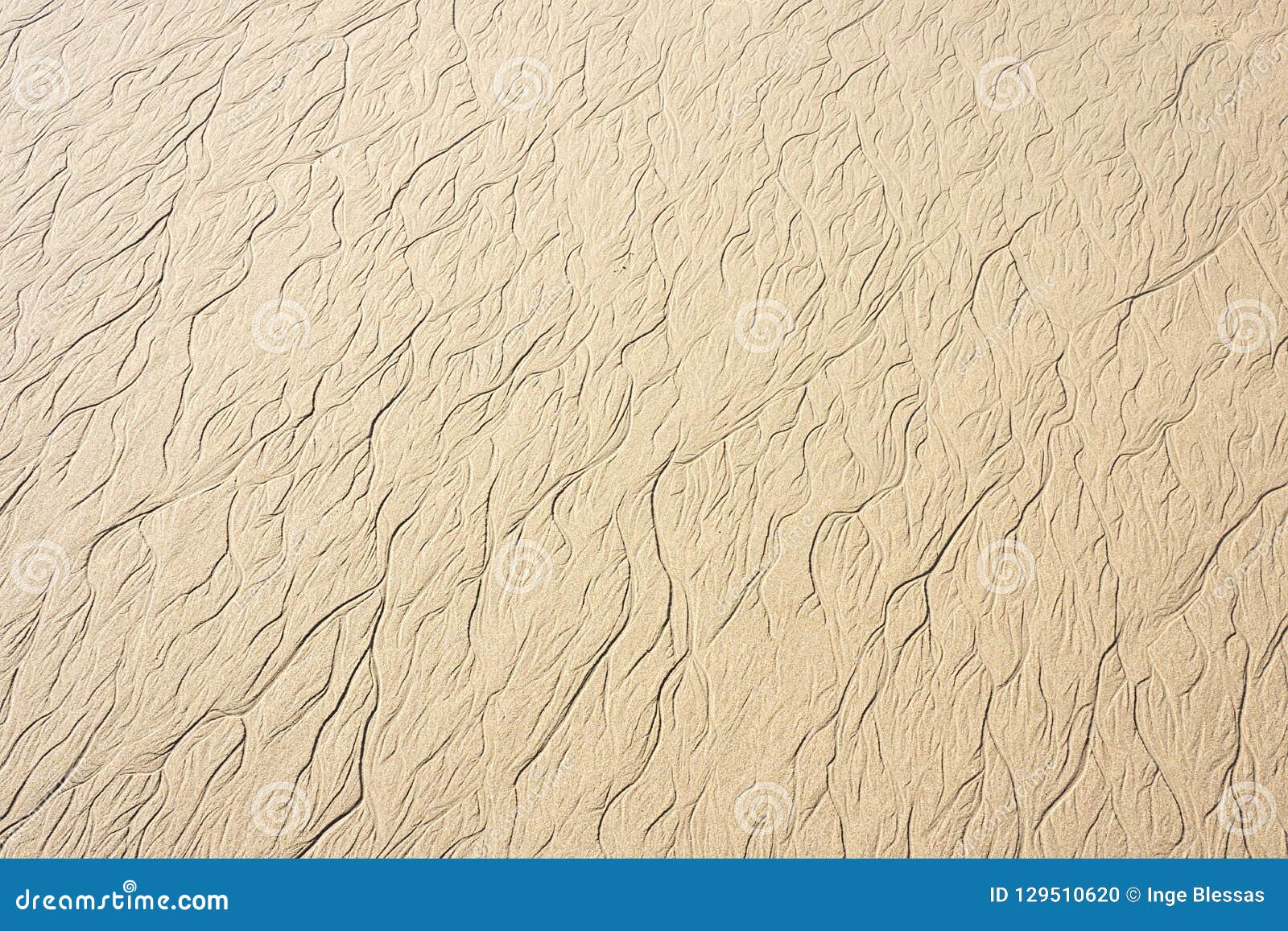 Tide Lines on Beach Sand Background Stock Photo - Image of beach ...