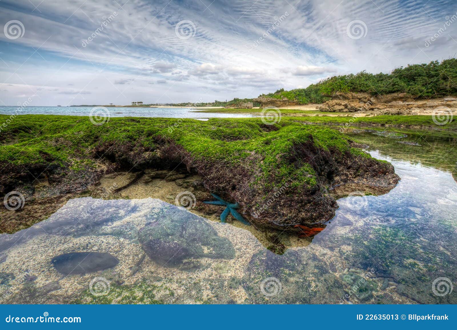 Tide Pool stock image. Image of travel, beach, high, pool - 22635013