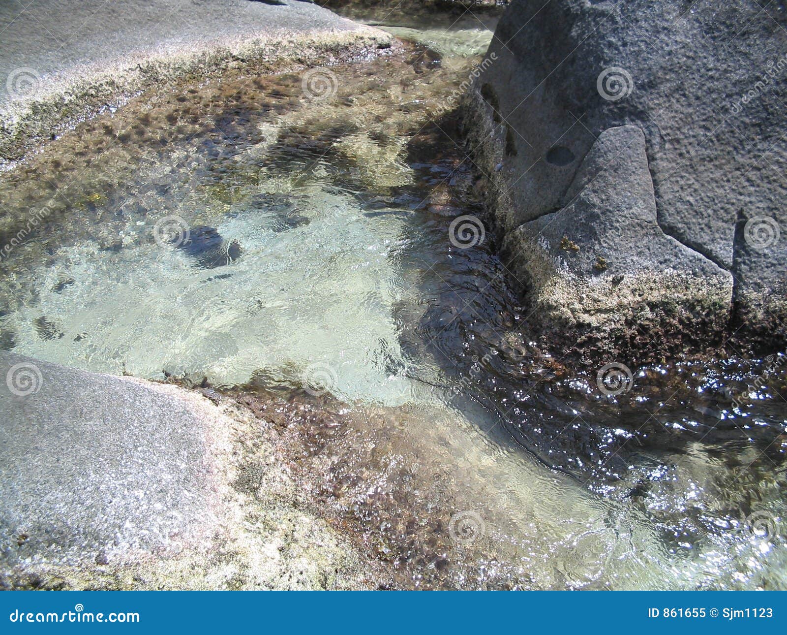 Tide Pool stock image. Image of geologic, tide, vacation - 861655
