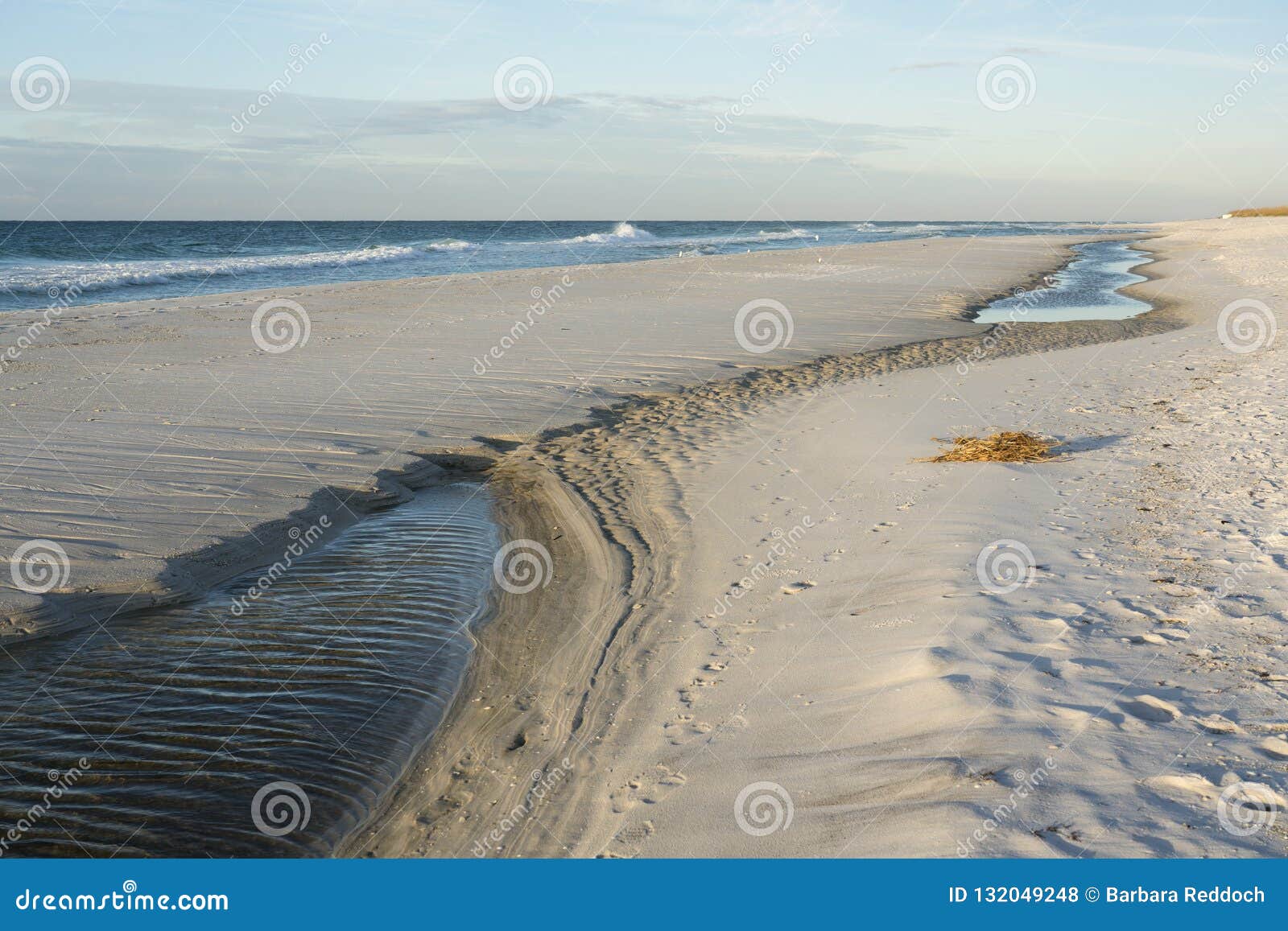Tide Pool at Florida Beach stock photo. Image of beach - 132049248