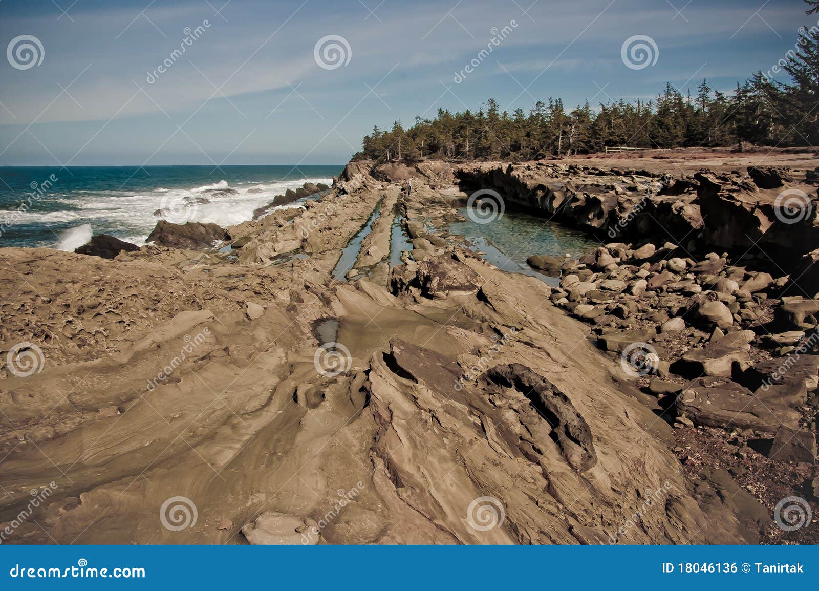Tide pool at Ocean stock photo. Image of orientation - 18046136