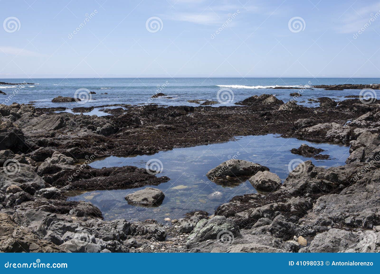 Tide Pool stock image. Image of ocean, marine, tide, tidal - 41098033