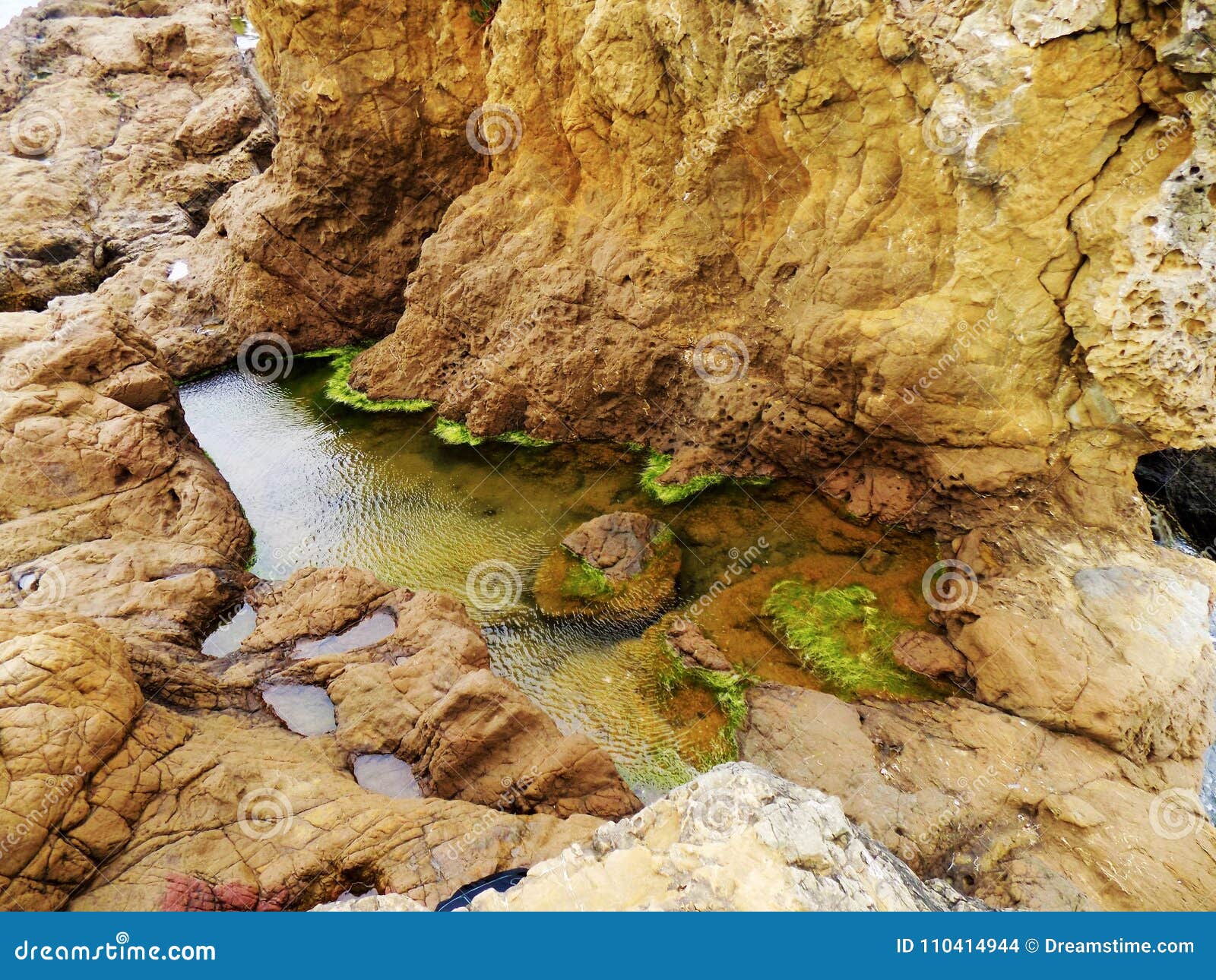 Tide pool stock photo. Image of beach, glass, rocks - 110414944