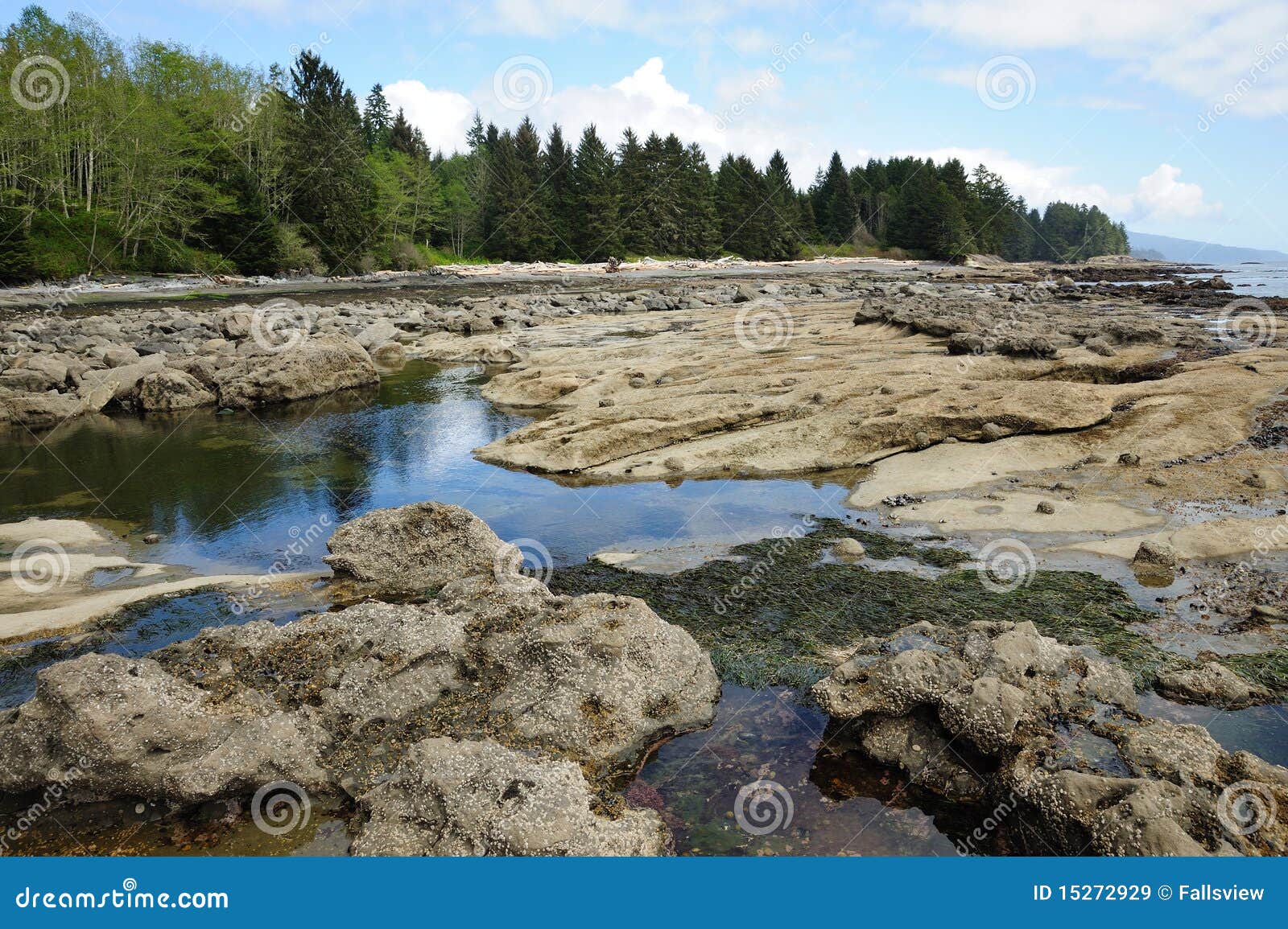 Tide pools stock image. Image of park, stone, beach, provincial - 15272929