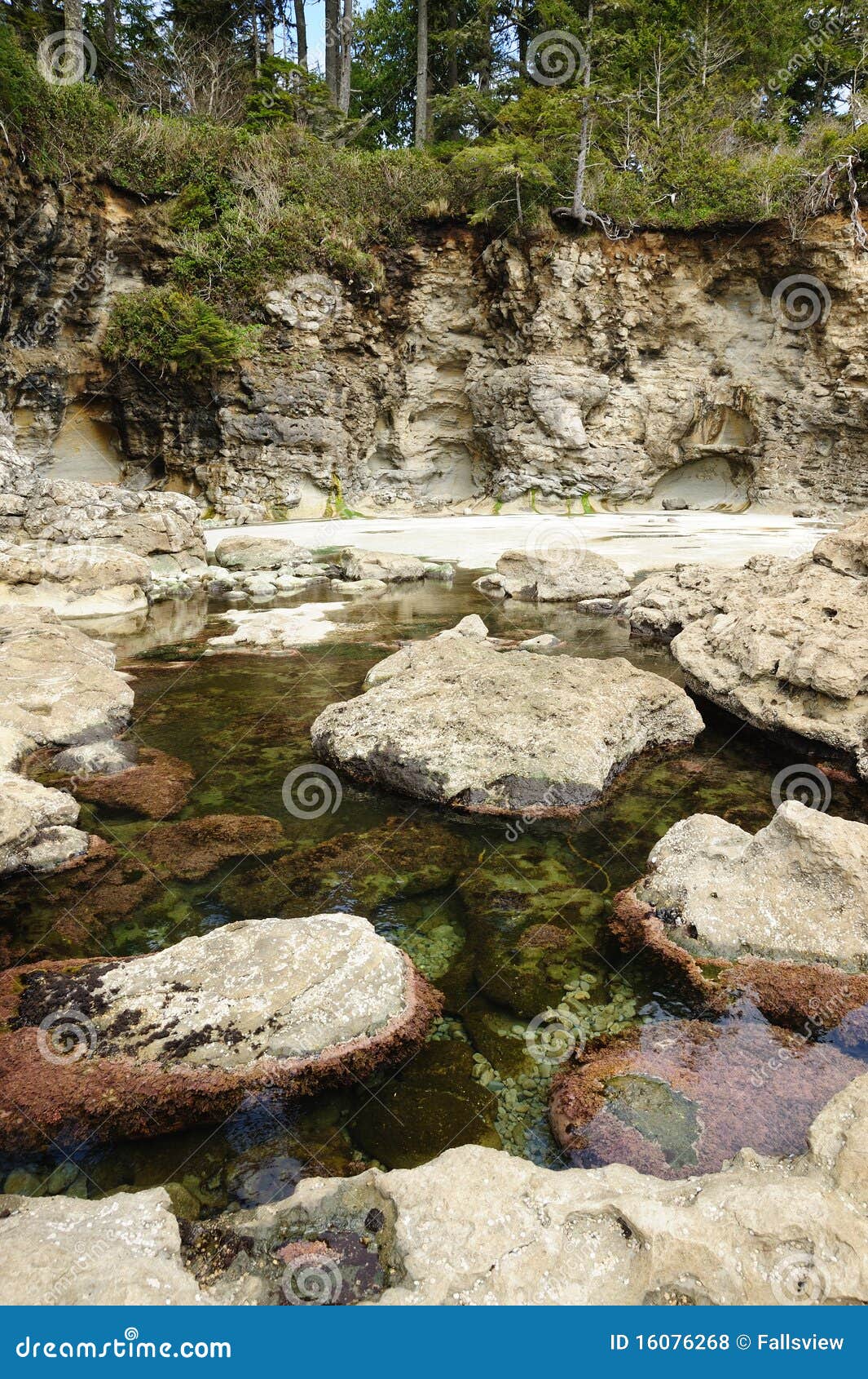 Tide pools stock photo. Image of seaside, beach, sandstone - 16076268