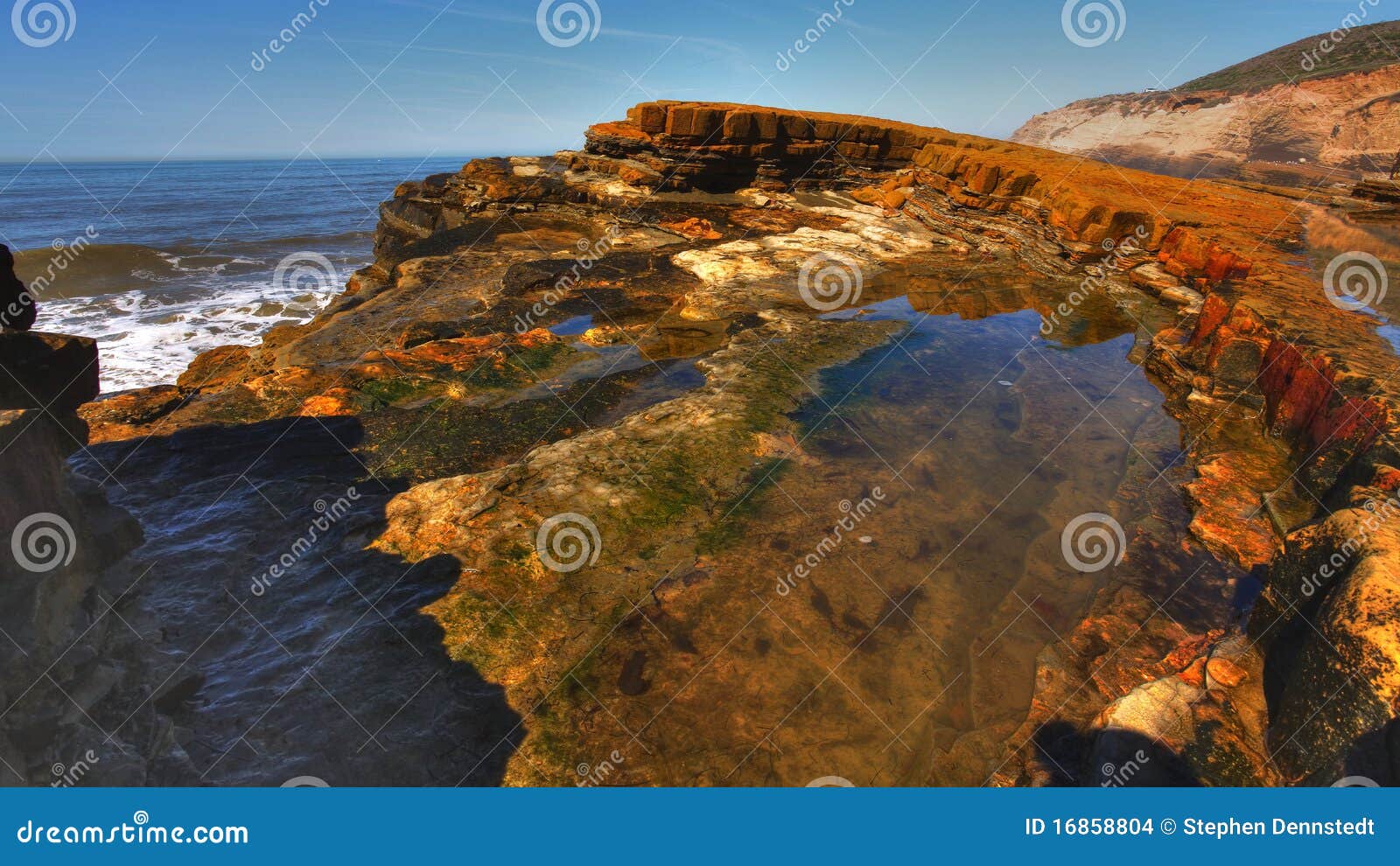 Tide Pools stock photo. Image of water, vivid, tide, loma - 16858804