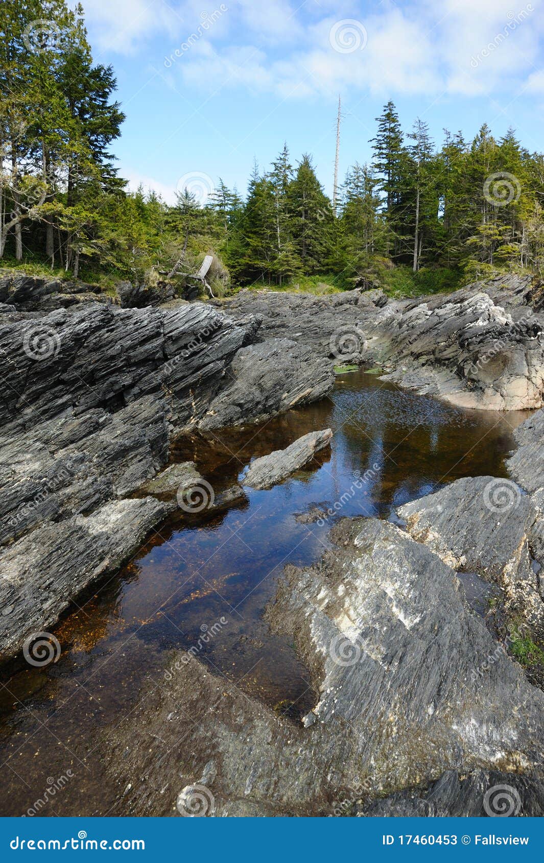 Tide pools stock image. Image of sandstone, stone, seafront - 17460453
