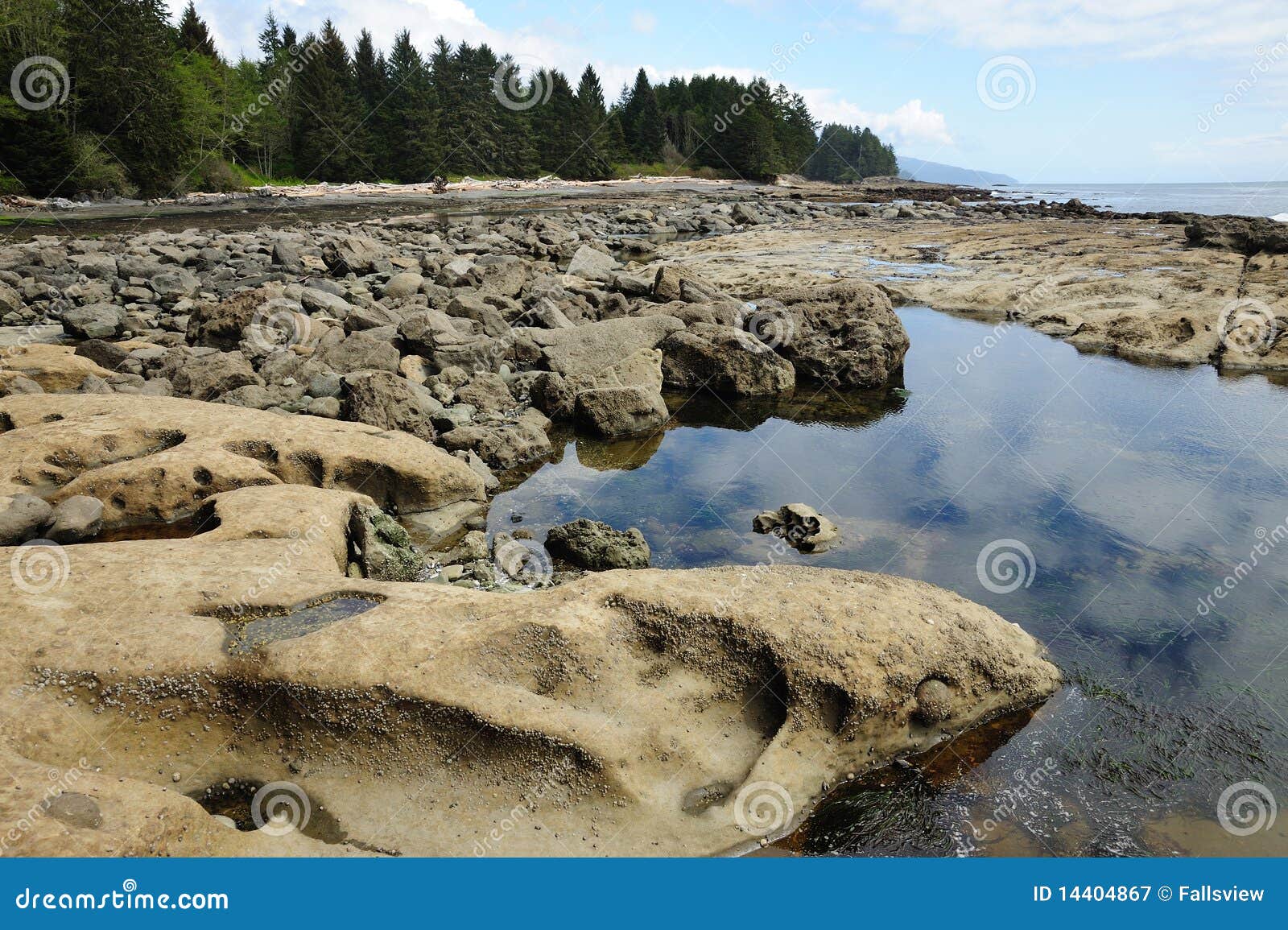 Tide pools on beach stock image. Image of shore, canada - 14404867