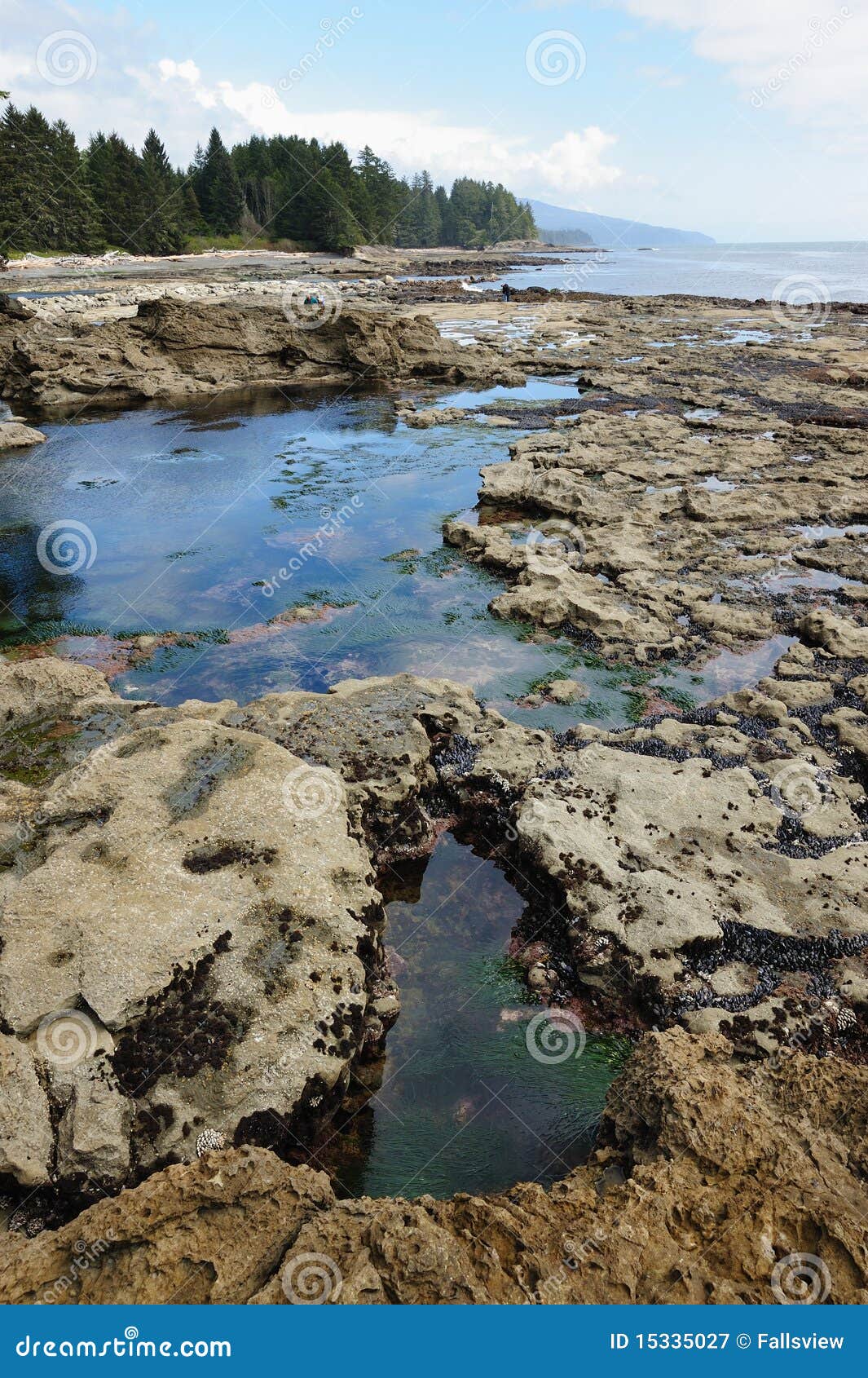 Tide pools on beach stock image. Image of british, rich - 15335027
