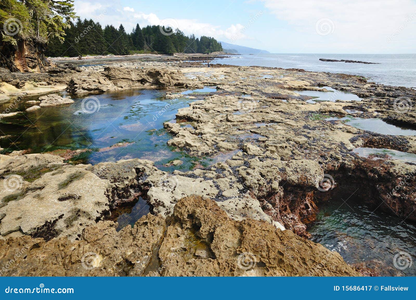 Tide pools on beach stock image. Image of park, marine - 15686417