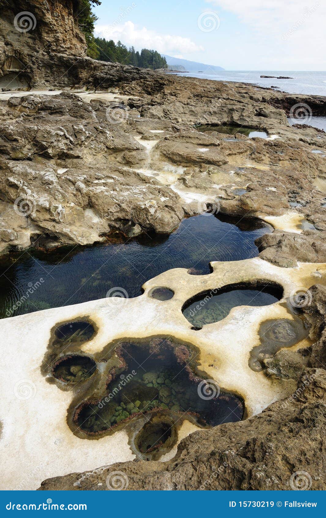 Tide pools on beach stock image. Image of pool, botanical - 15730219