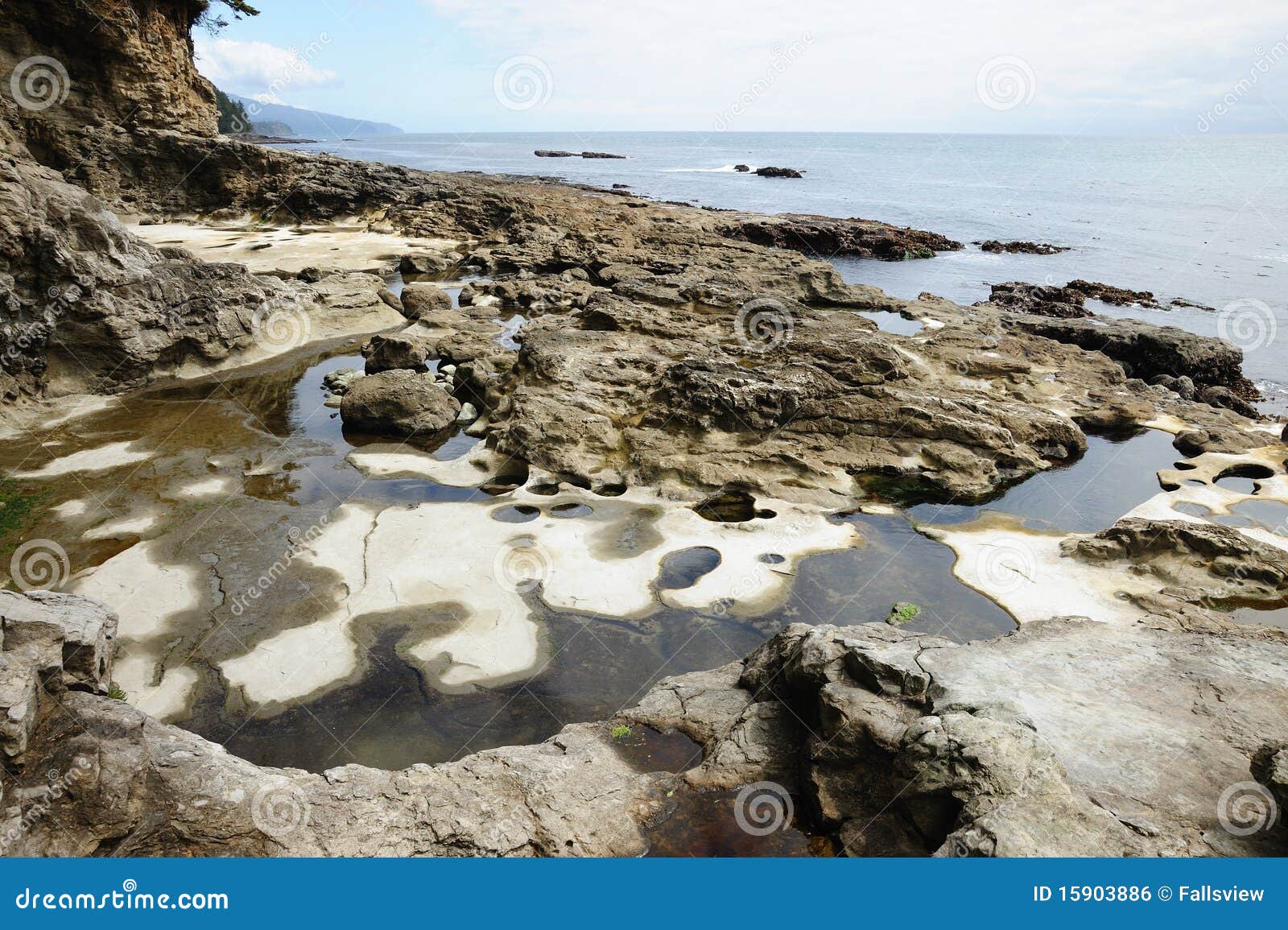 Tide pools on beach stock photo. Image of plant, island - 15903886