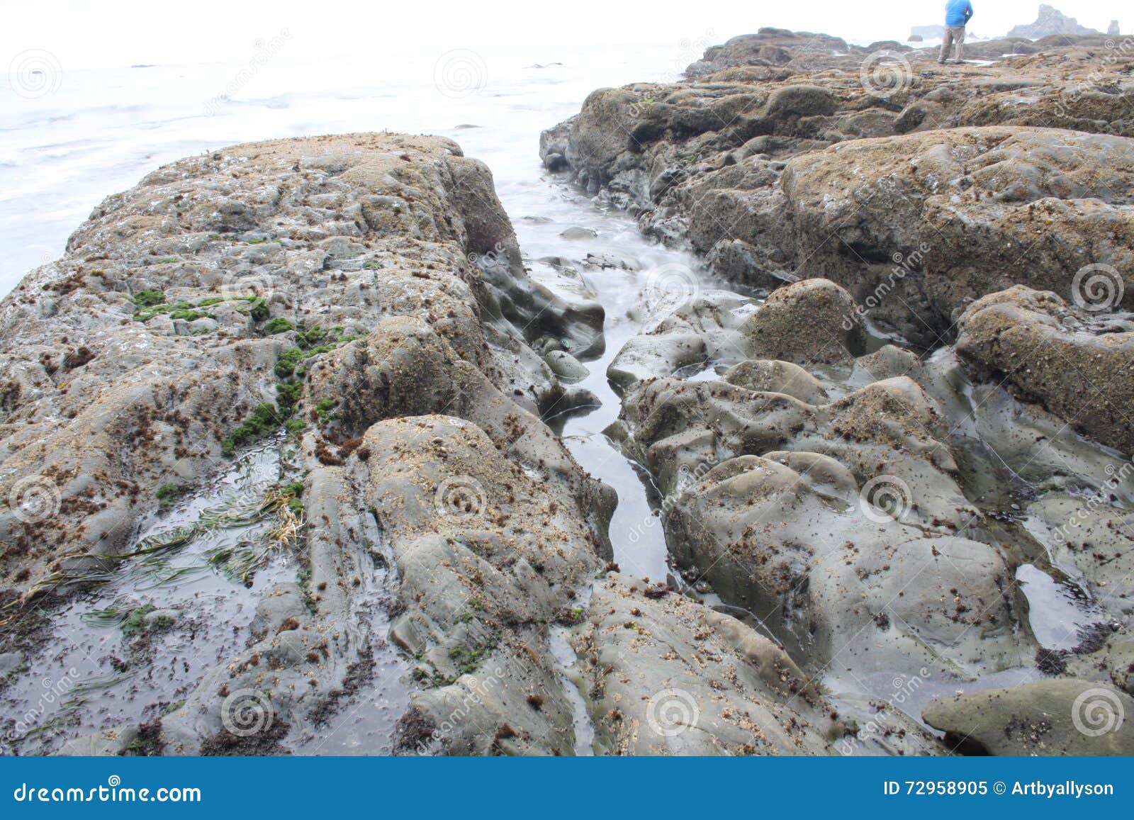 Tidepool and smooth rocks stock image. Image of tide - 72958905