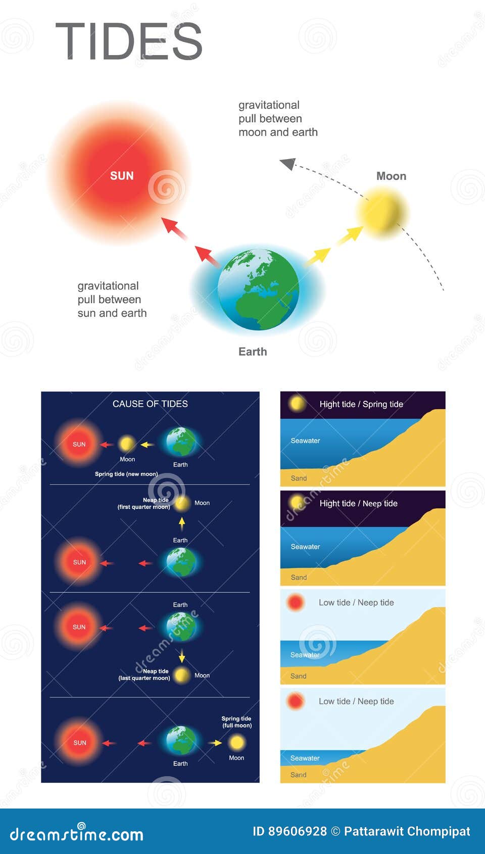 Tides stock vector. Illustration of direction, energy - 89606928
