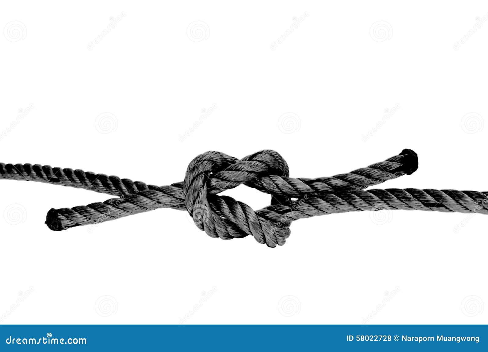 Tied rope together stock photo. Image of link, knot, solution - 58022728