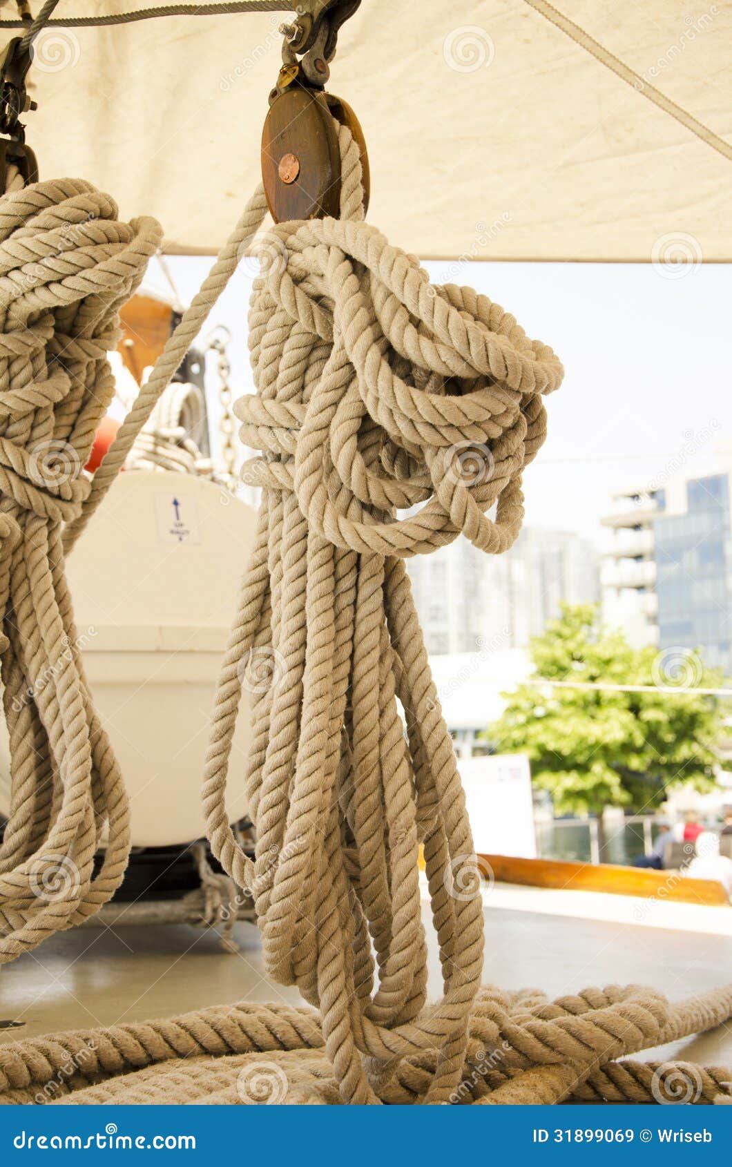 Tied up ropes stock image. Image of adventure, chain - 31899069