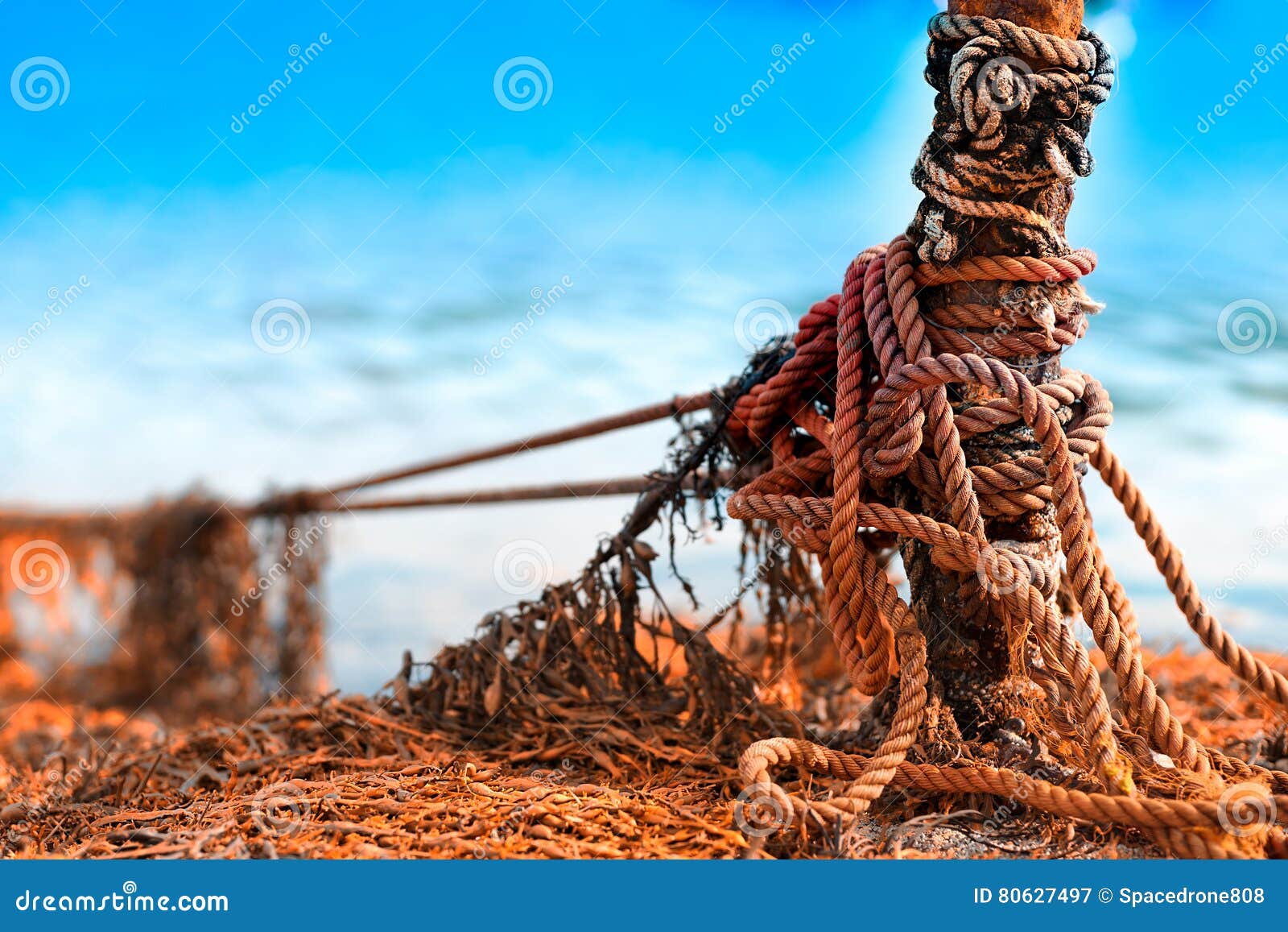 Tied Up Ship Rope on Norway Beach Stock Image - Image of norway, item ...