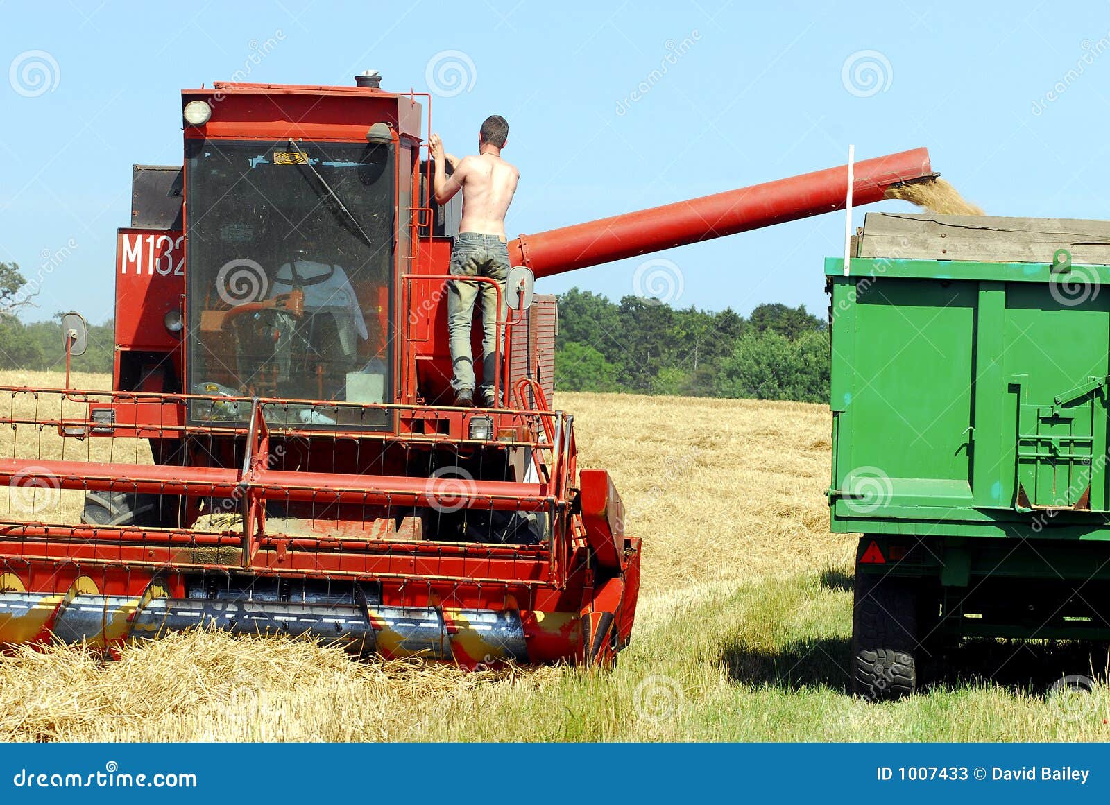 Tiempo de cosecha imagen de archivo. Imagen de industria - 1007433