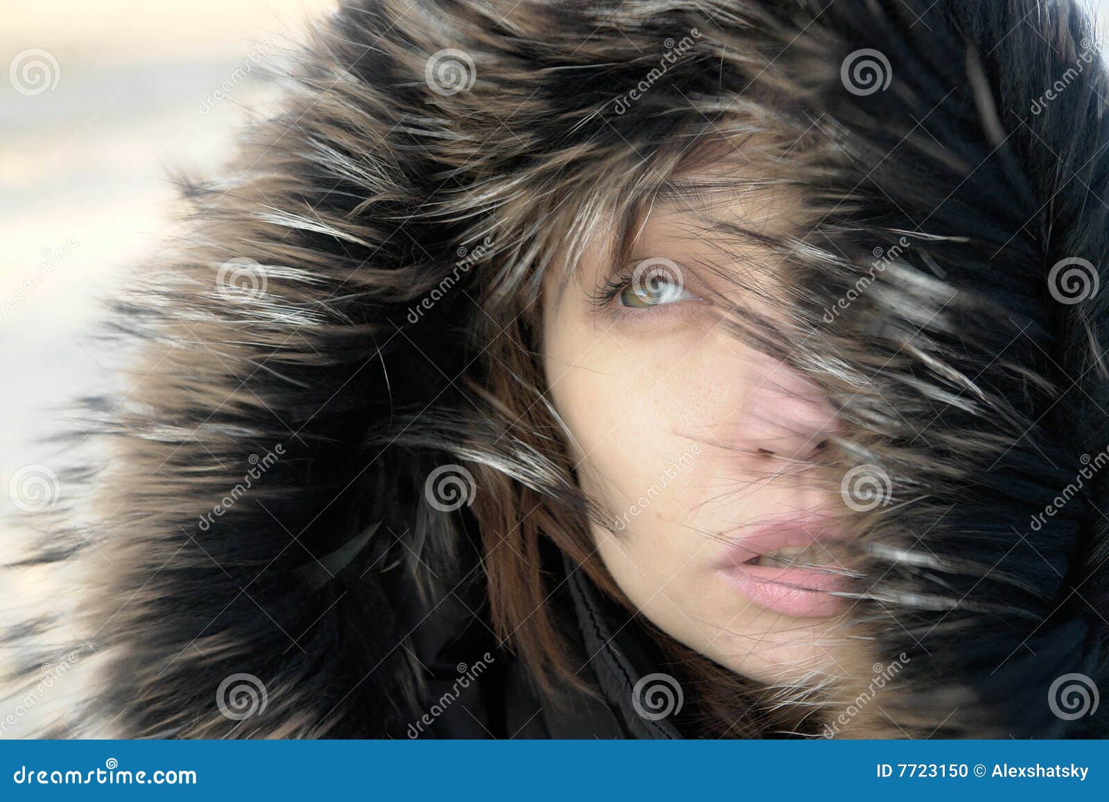 Tiempo de Windi foto de archivo. Imagen de invierno, mujer - 7723150