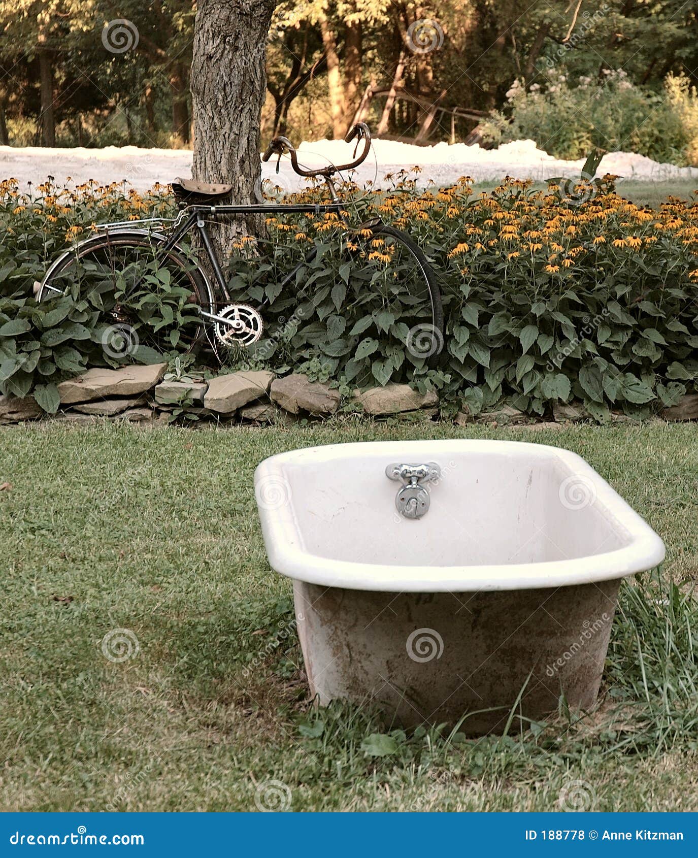Tiempo Del Baño En La Granja Foto de archivo - Imagen de rural ...