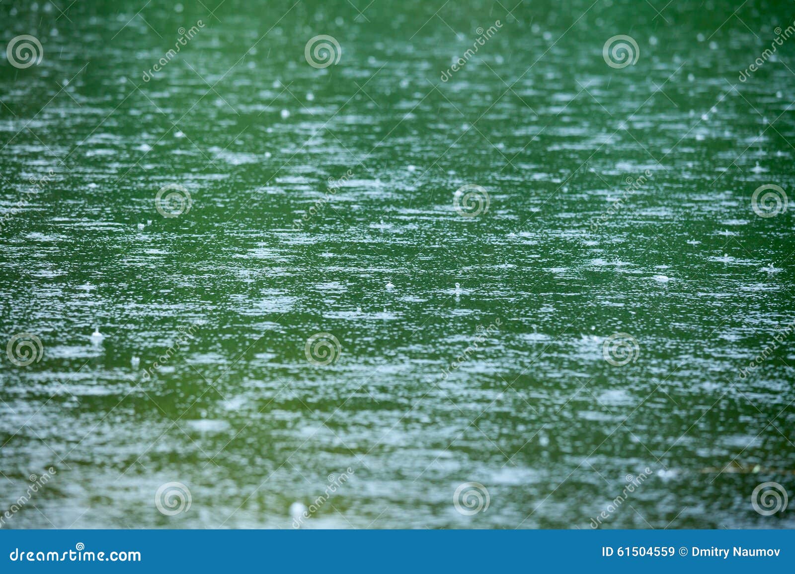 Tiempo lluvioso imagen de archivo. Imagen de charca, lluvia - 61504559