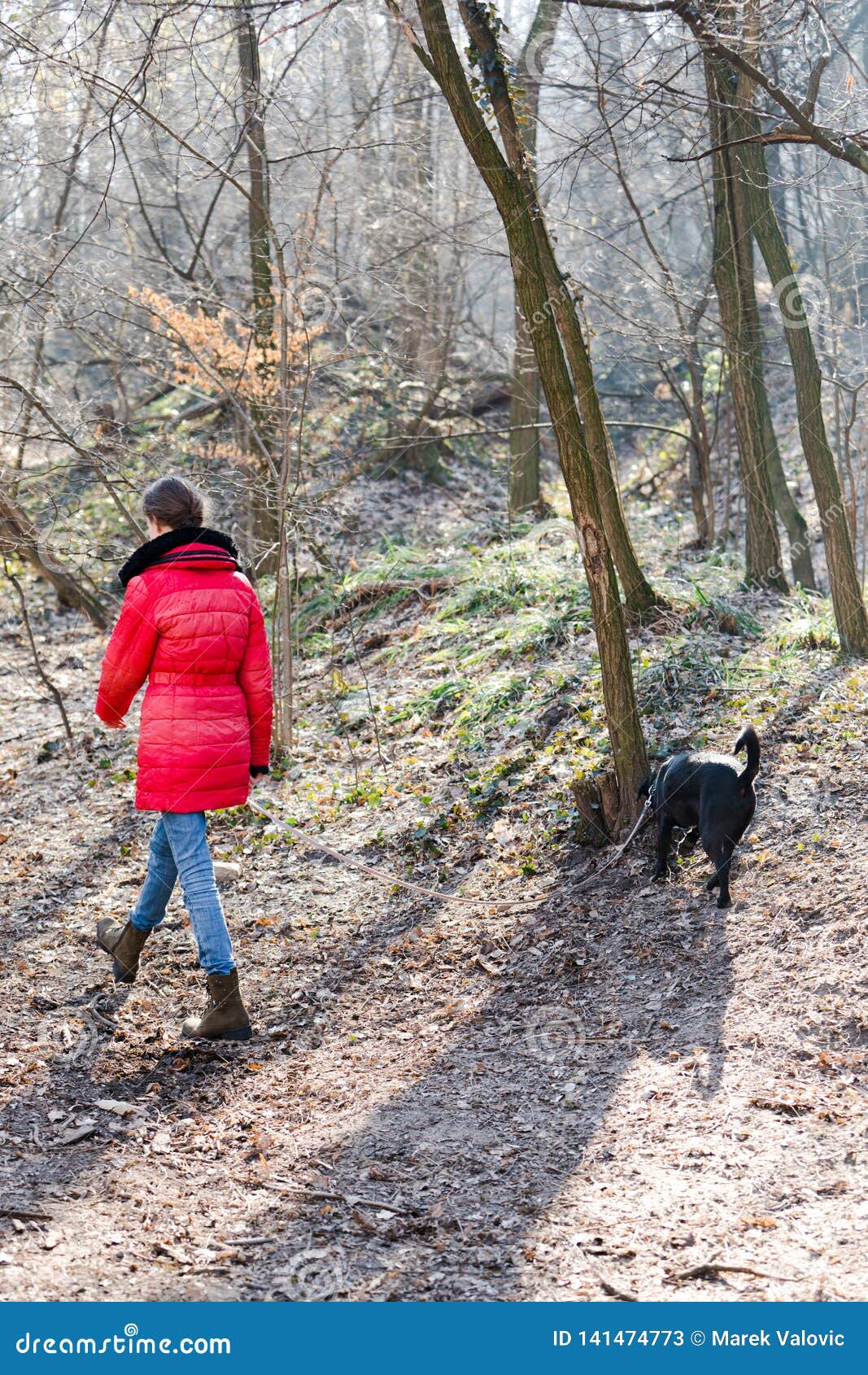 Tienermeisje Die In Rood Jasje Met Honden In Het Bos Lopen Koude