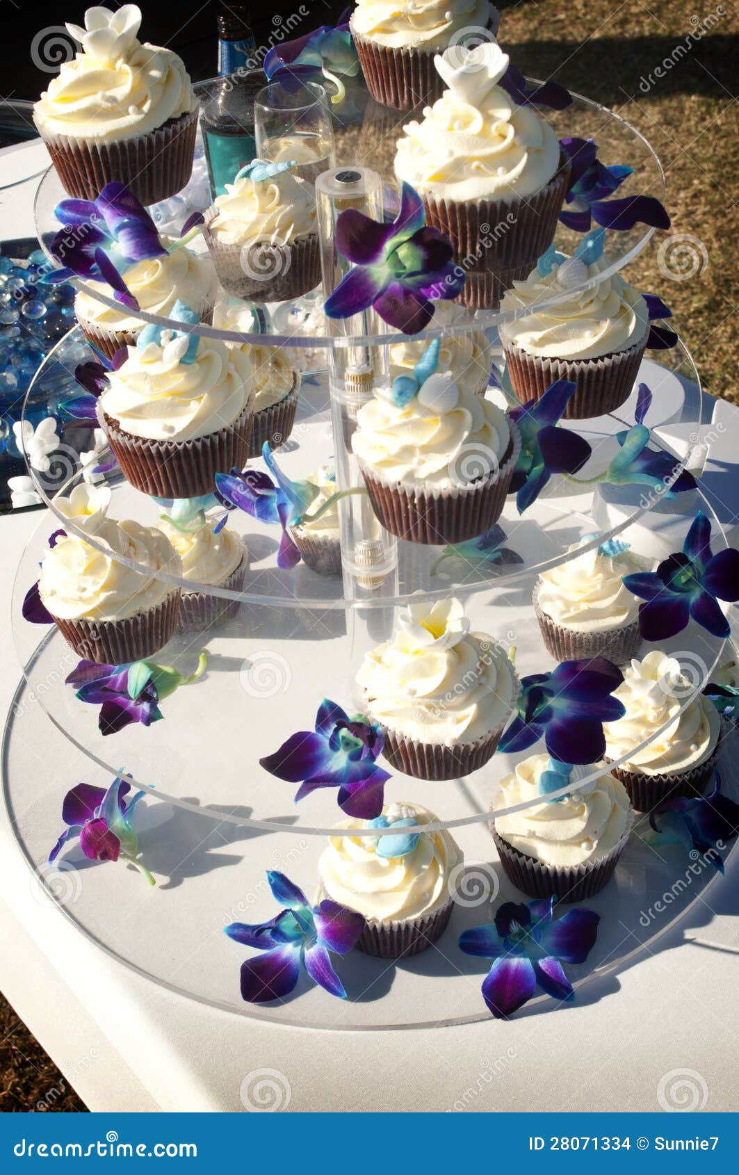 403 Tier Plates Stock Photos - Free & Royalty-Free Stock Photos from ...