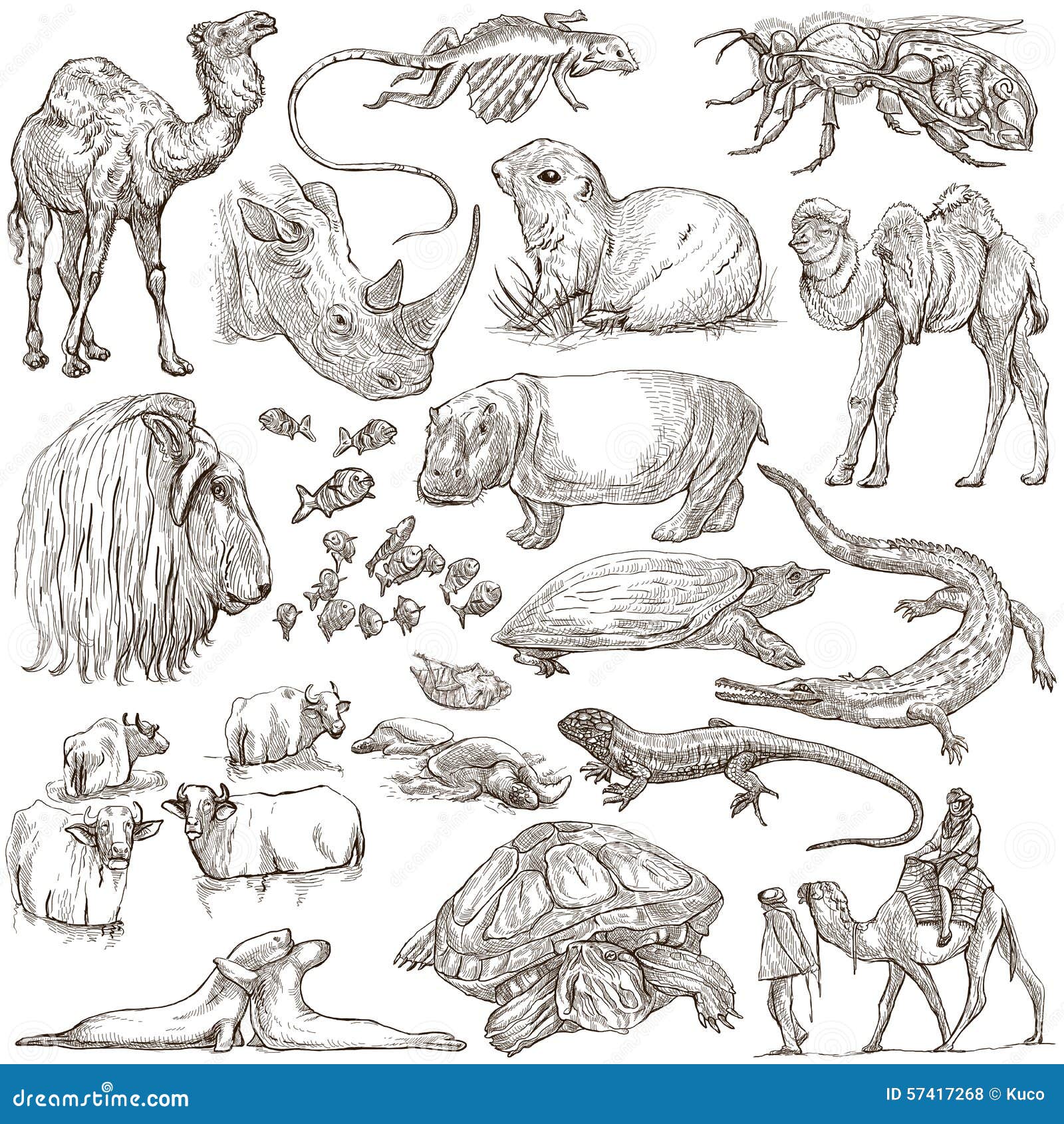 Tiere Um Die Welt Handzeichen, Satz Stock Abbildung - Illustration von ...