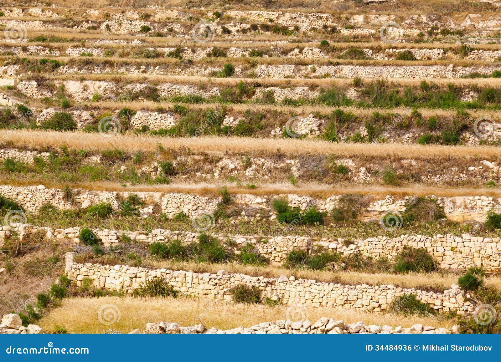 Tiered Retaining Wall with Plants and Shrubs Stock Photo - Image of ...