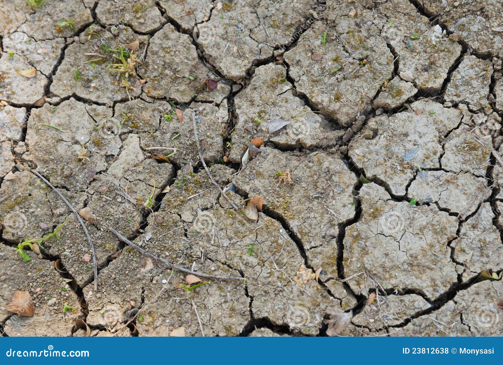 Tierra árida foto de archivo. Imagen de verano, suelo - 23812638