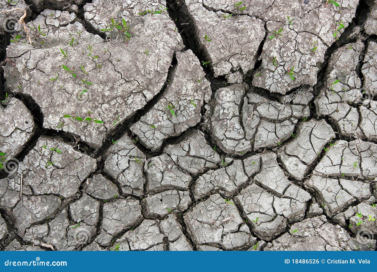 Tierra agrietada foto de archivo. Imagen de muerto, detalle - 18486526