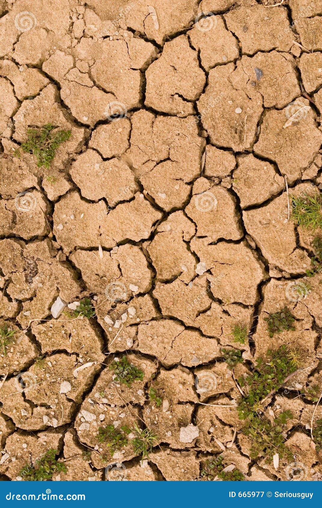 Tierra agrietada imagen de archivo. Imagen de desiertos - 665977