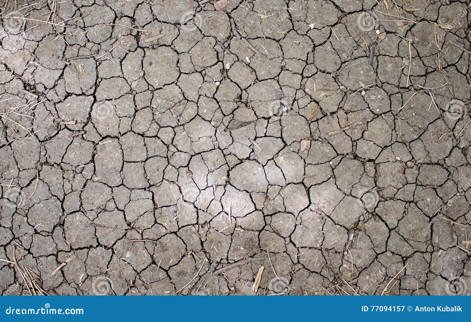 Tierra Agrietada De La Estructura Imagen de archivo - Imagen de ...