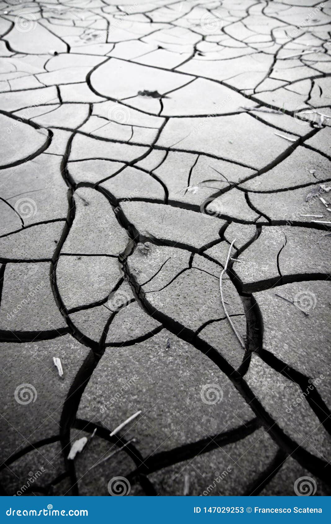 Tierra Agrietada: Los Efectos De La Sequ?a Imagen de archivo - Imagen ...