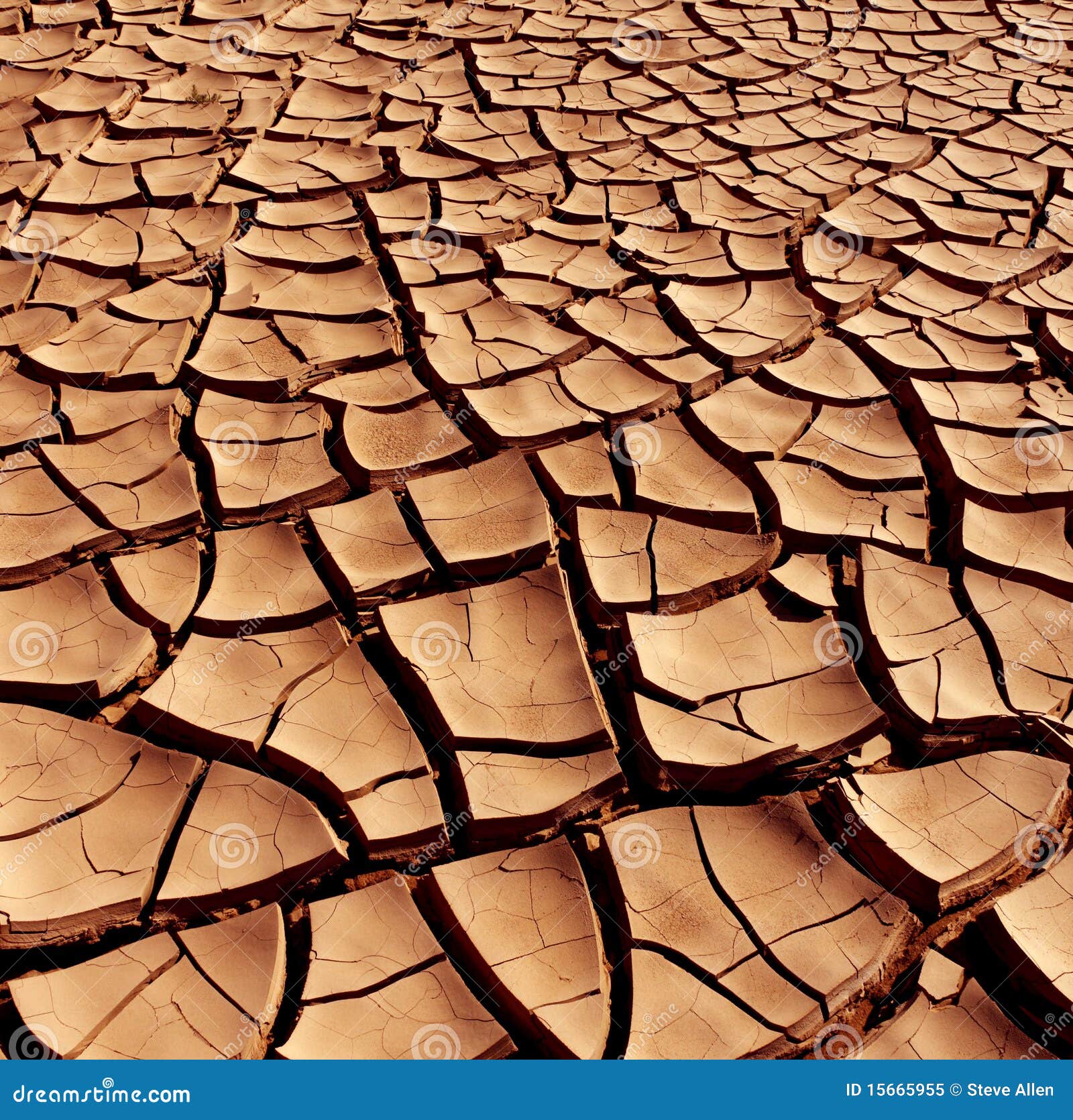 Tierra Agrietada Seca - Desierto Imagen de archivo - Imagen de seco ...