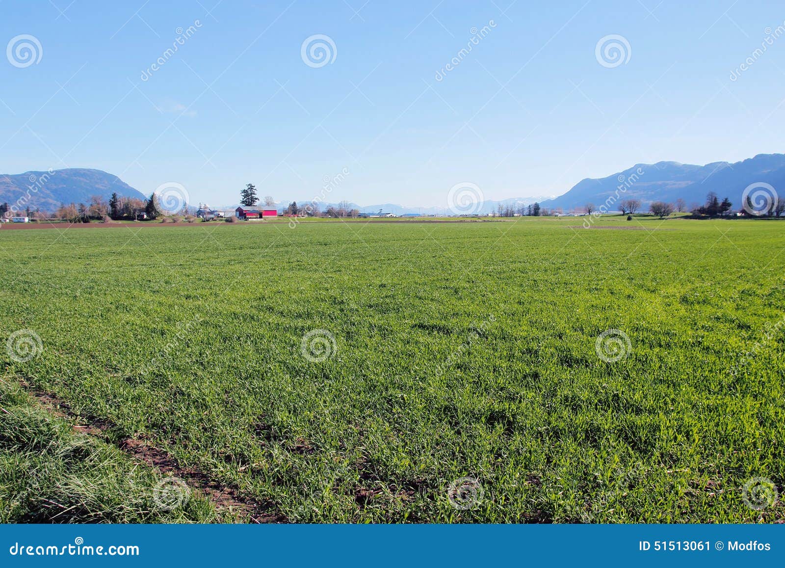 Tierra de pasto primera imagen de archivo. Imagen de rango - 51513061
