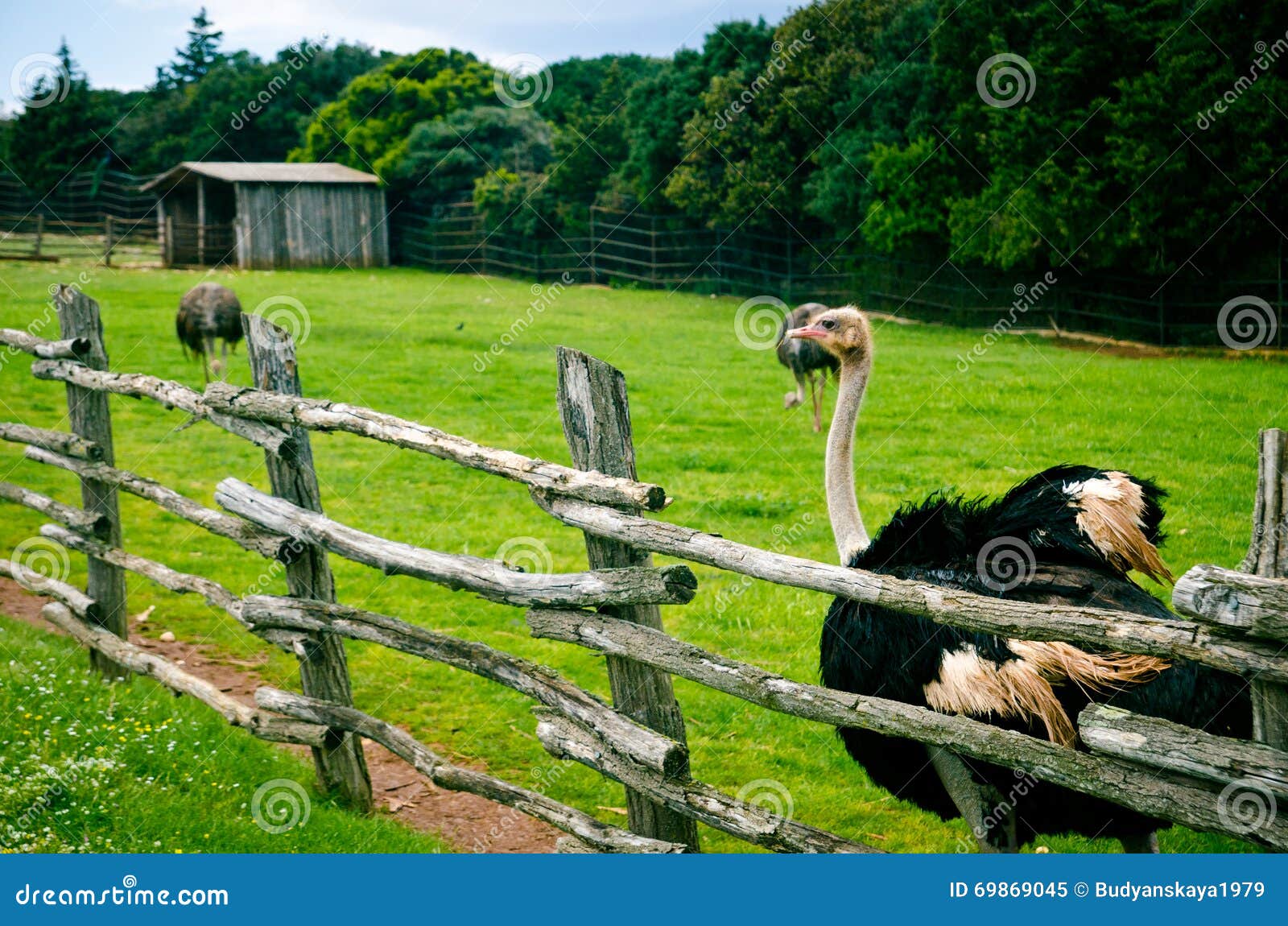 Tierra de pasto verde imagen de archivo. Imagen de color - 69869045