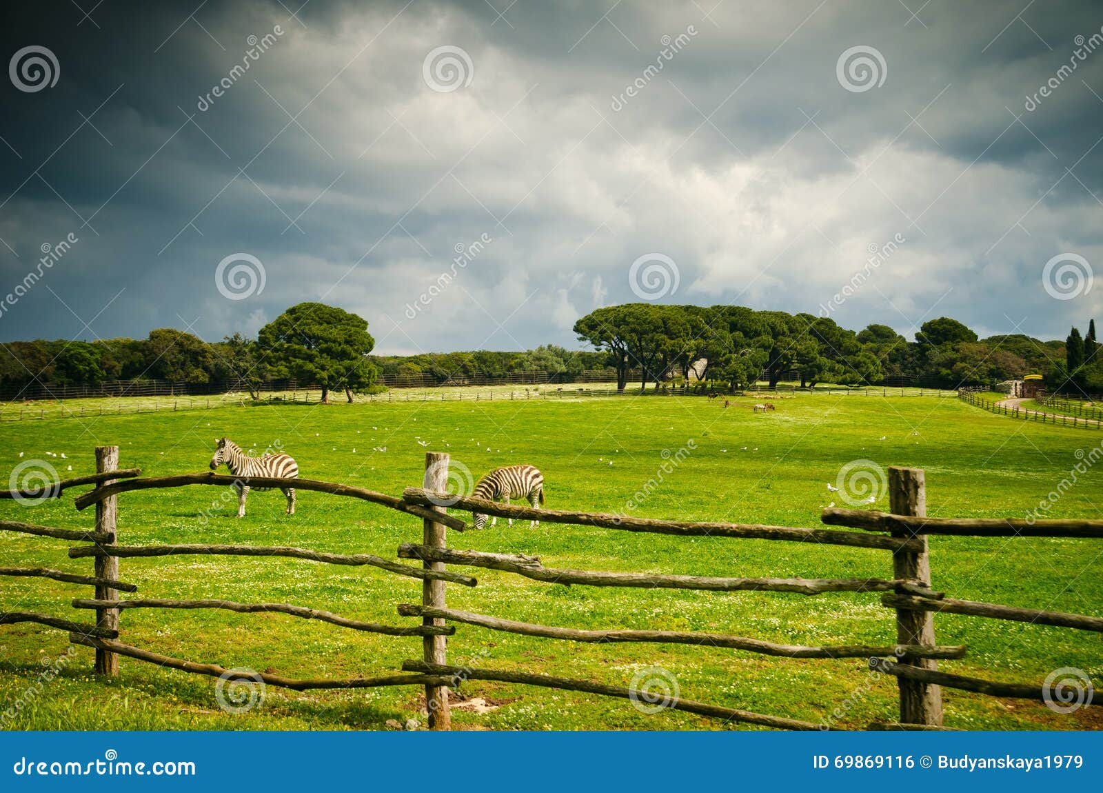 Tierra de pasto verde foto de archivo. Imagen de color - 69869116