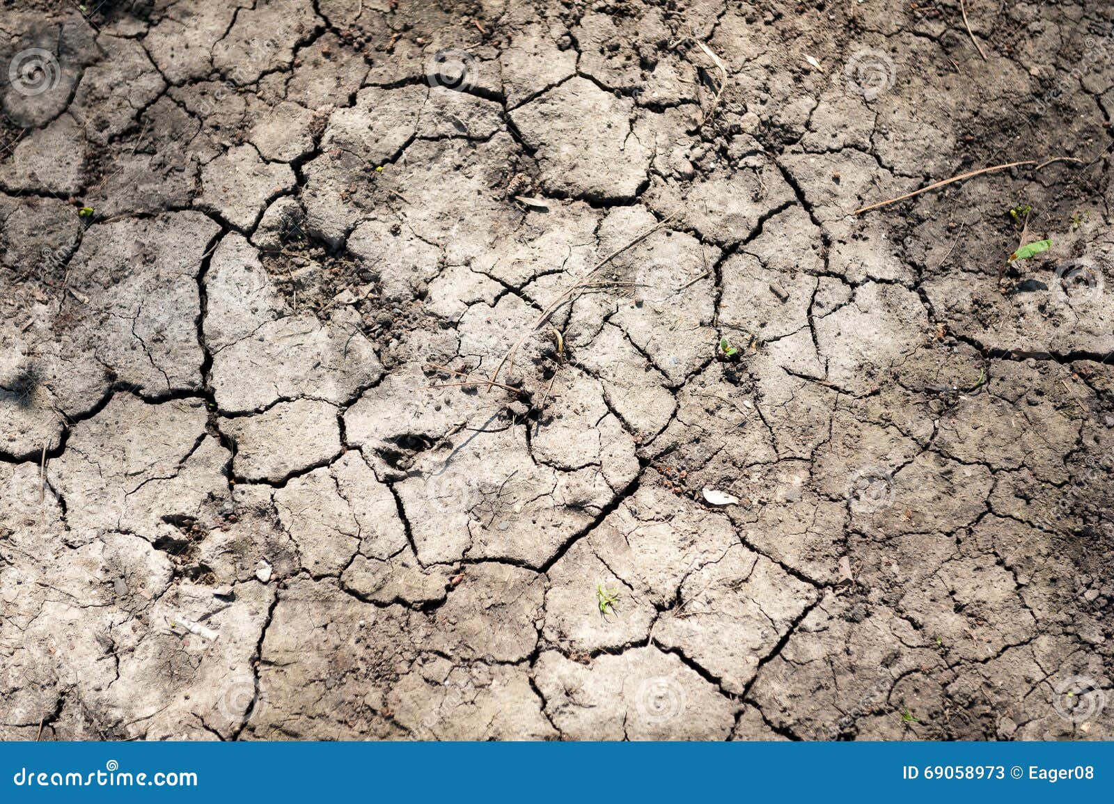 Tierra gris imagen de archivo. Imagen de selectivo, arruinado - 69058973