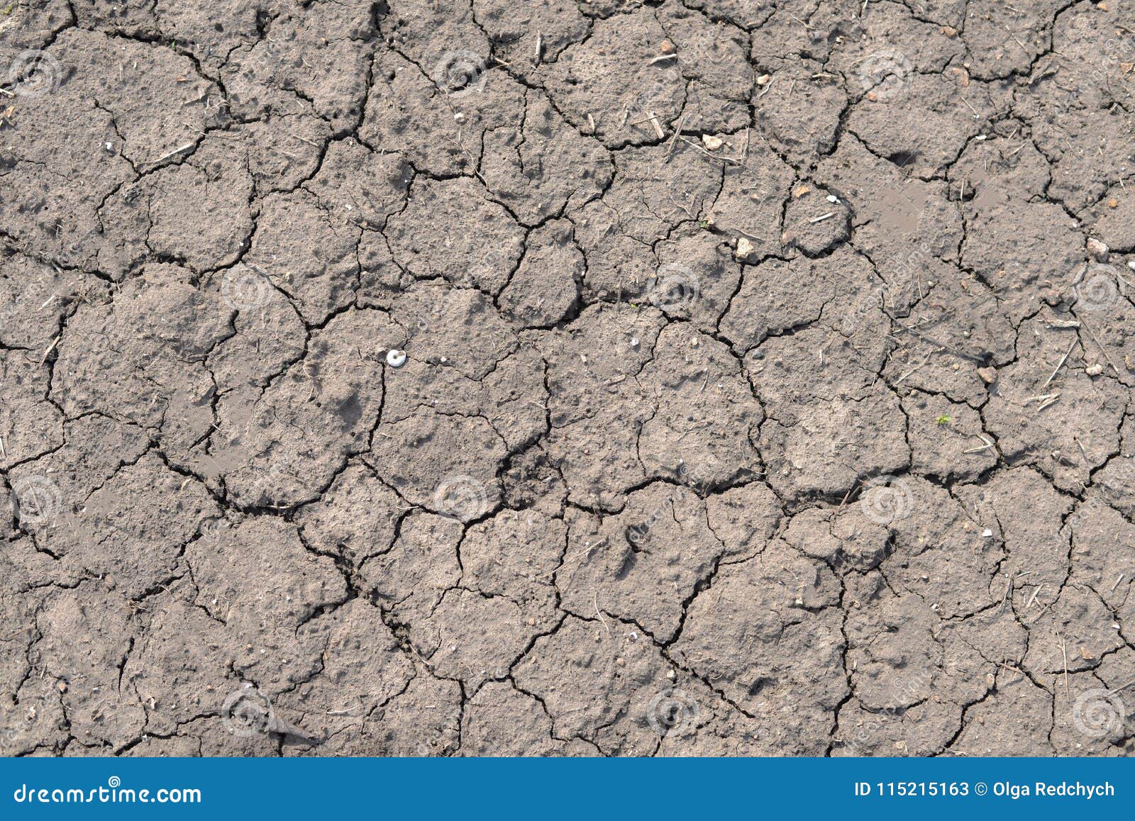 Tierra Gris Seca Agrietada, Textura Imagen de archivo - Imagen de ...