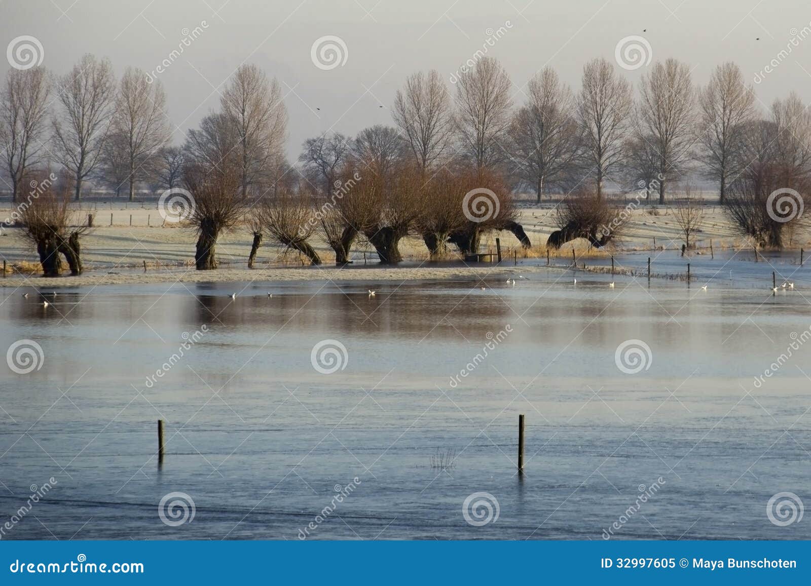Tierra inundada imagen de archivo. Imagen de profundamente - 32997605