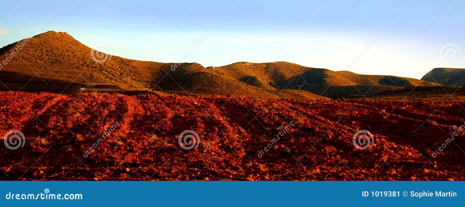Tierra roja imagen de archivo. Imagen de paisaje, campo - 1019381