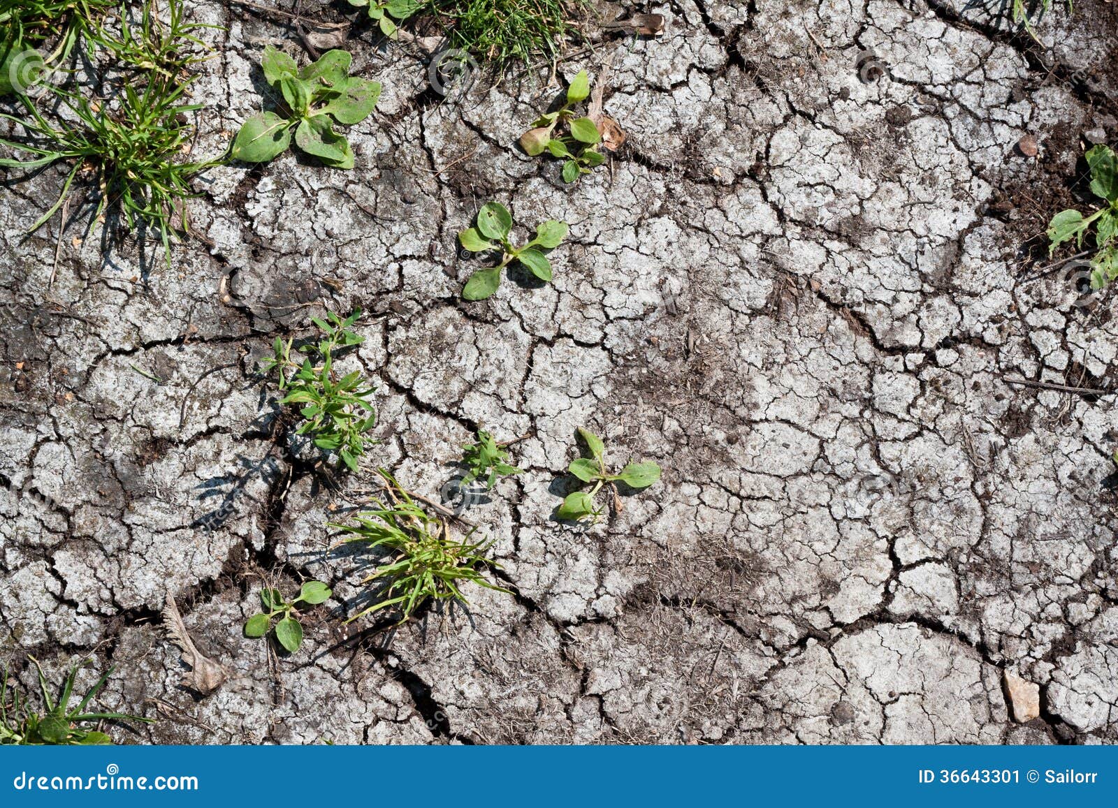Tierra seca imagen de archivo. Imagen de tierra, texturizado - 36643301