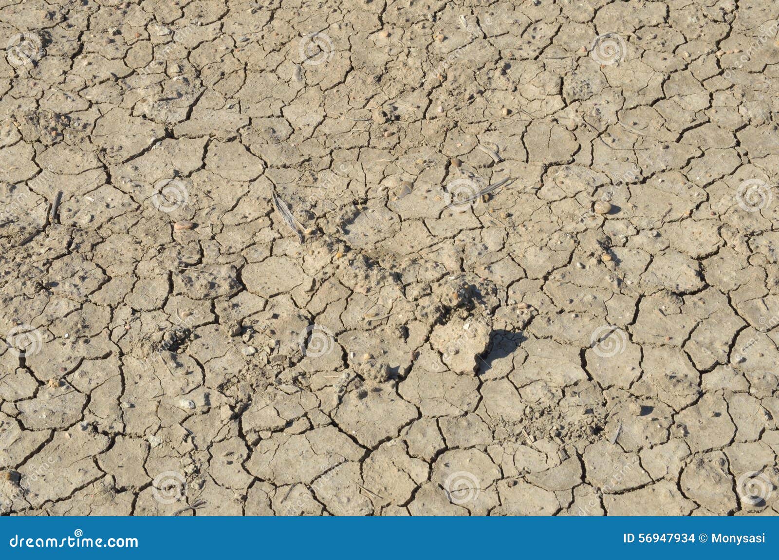 Tierra seca foto de archivo. Imagen de arena, cubo, ambiente - 56947934